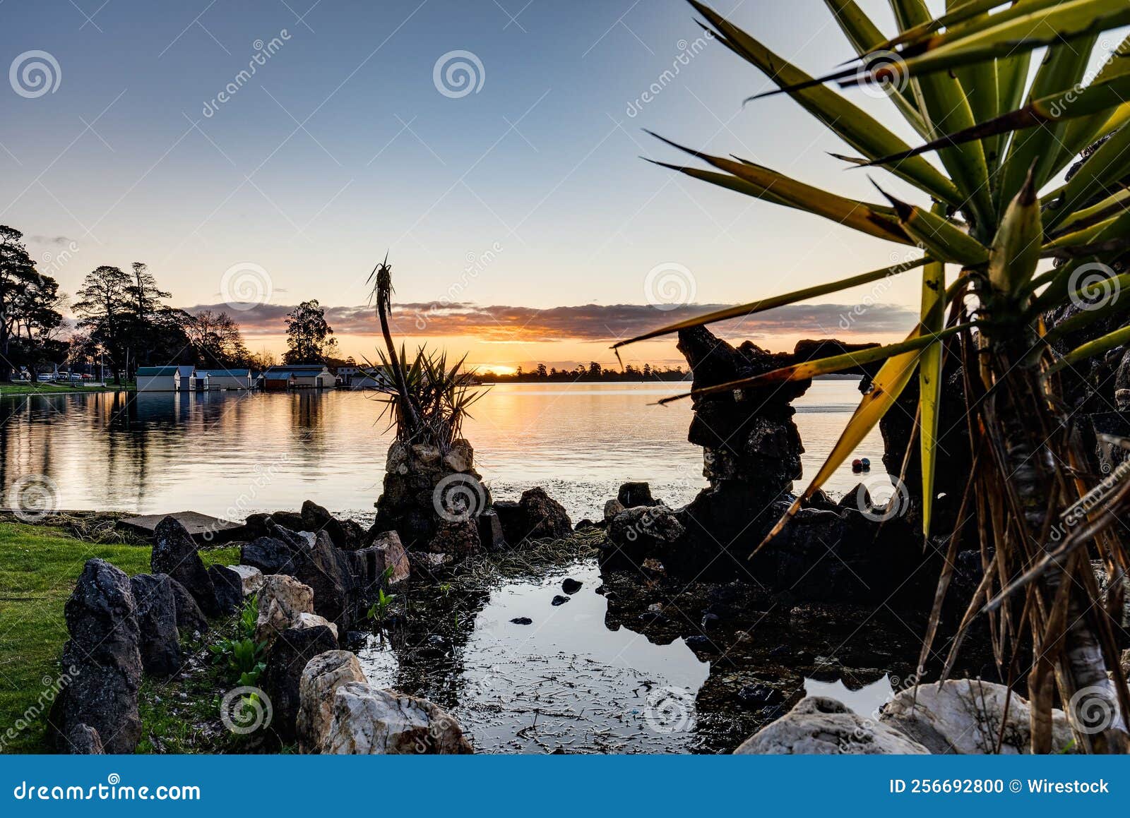 Shore of Lake Wendouree with Palm Trees and a Rocky Structure during ...