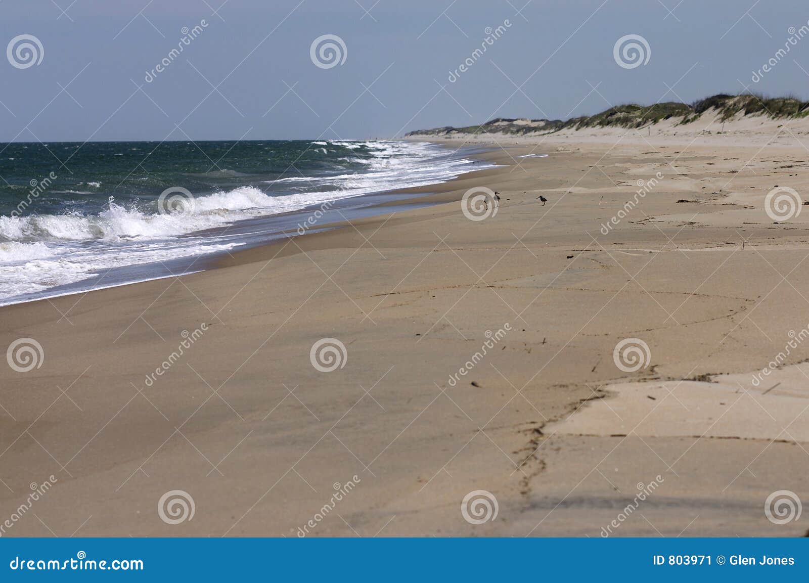 Shore line stock image. Image of sunny, peaceful, nature - 803971