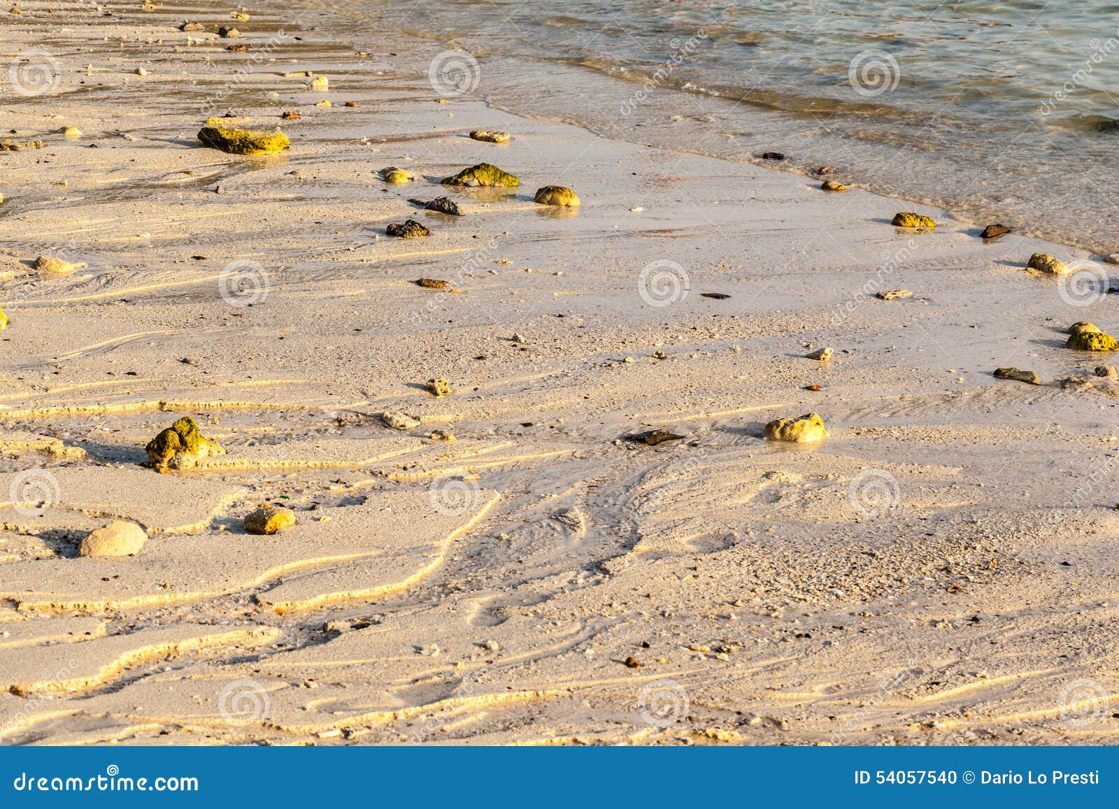 Shore line stock photo. Image of gritty, brown, sand - 54057540