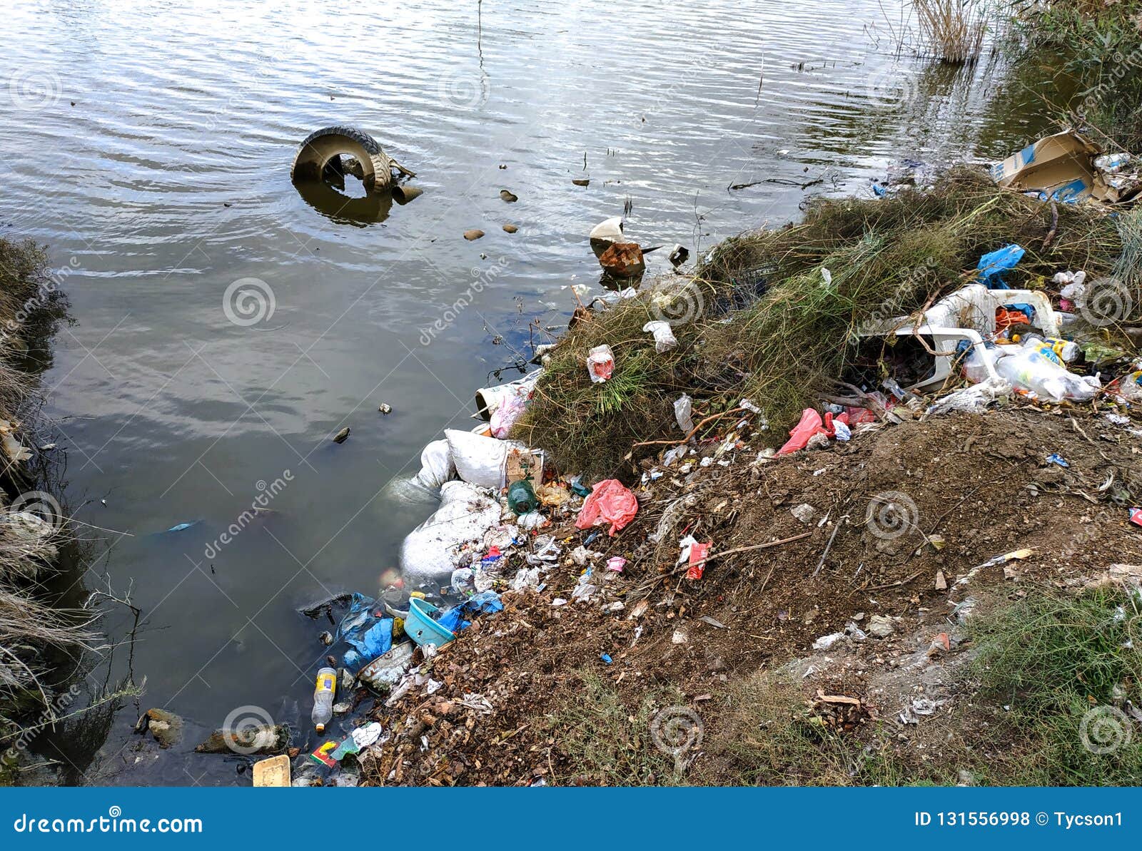 Shore is Littered with Garbage Stock Photo - Image of nature ...
