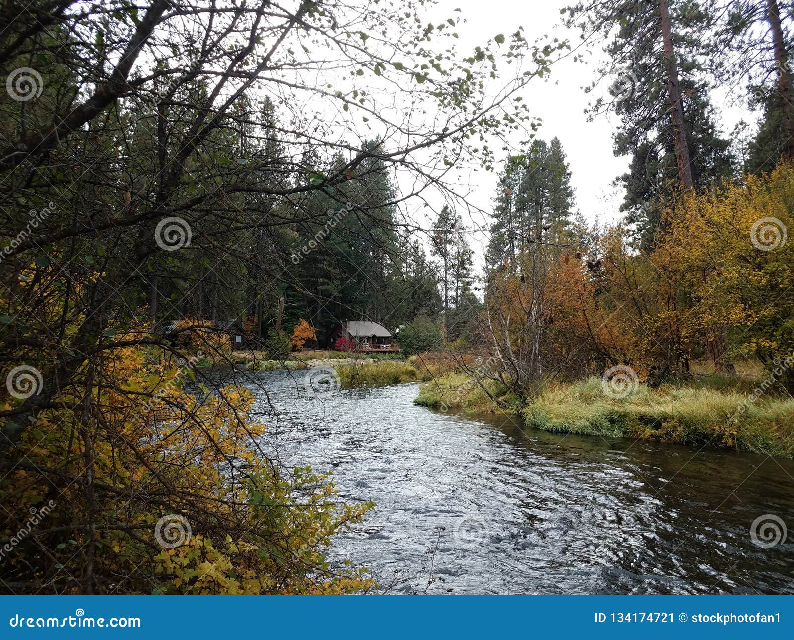 Shore of the Metolius River in Oregon Stock Image - Image of cabin ...