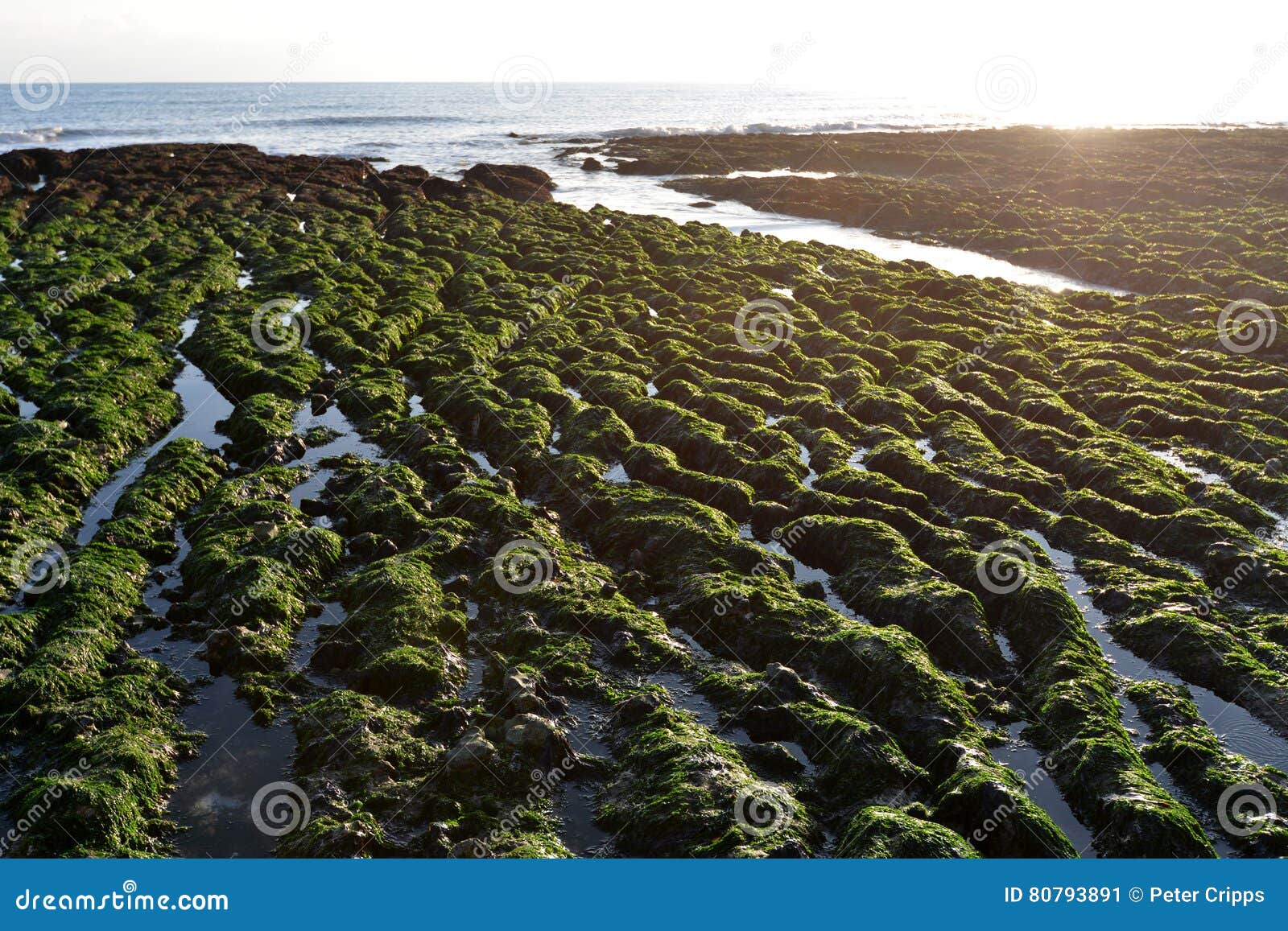 Shore patterns stock image. Image of seaside, ocean, coast - 80793891