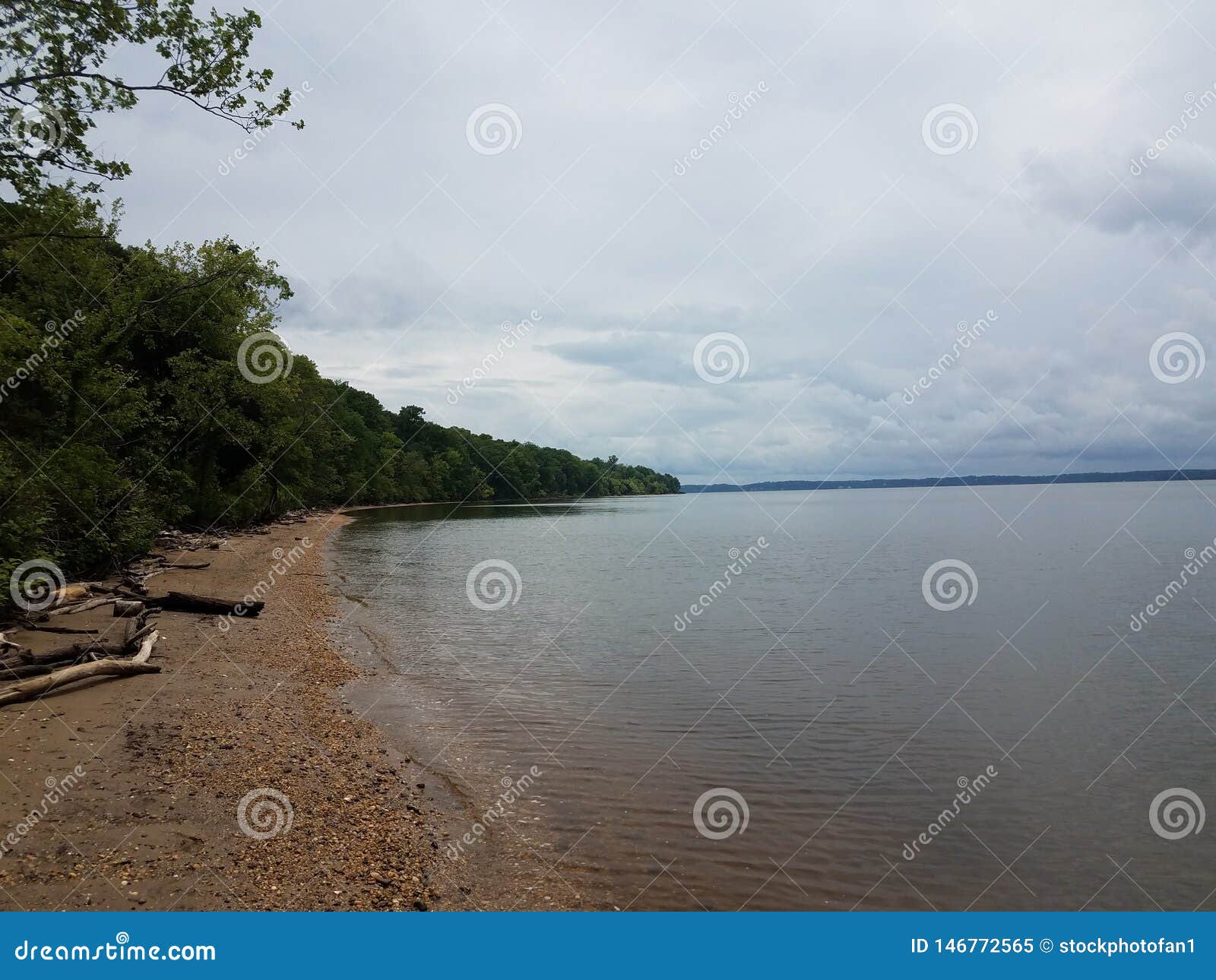 Shore of River with Rocks, Sand, Wood, and Shells Stock Image - Image ...