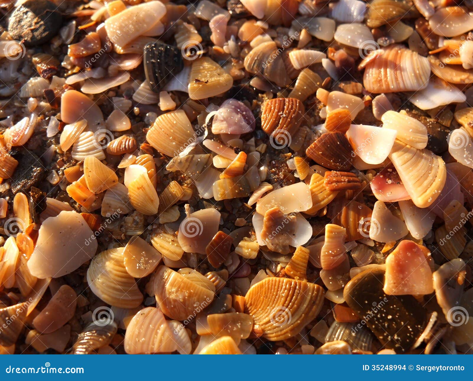 Shore of the Sea and Stones Stock Photo - Image of stone, relax: 35248994