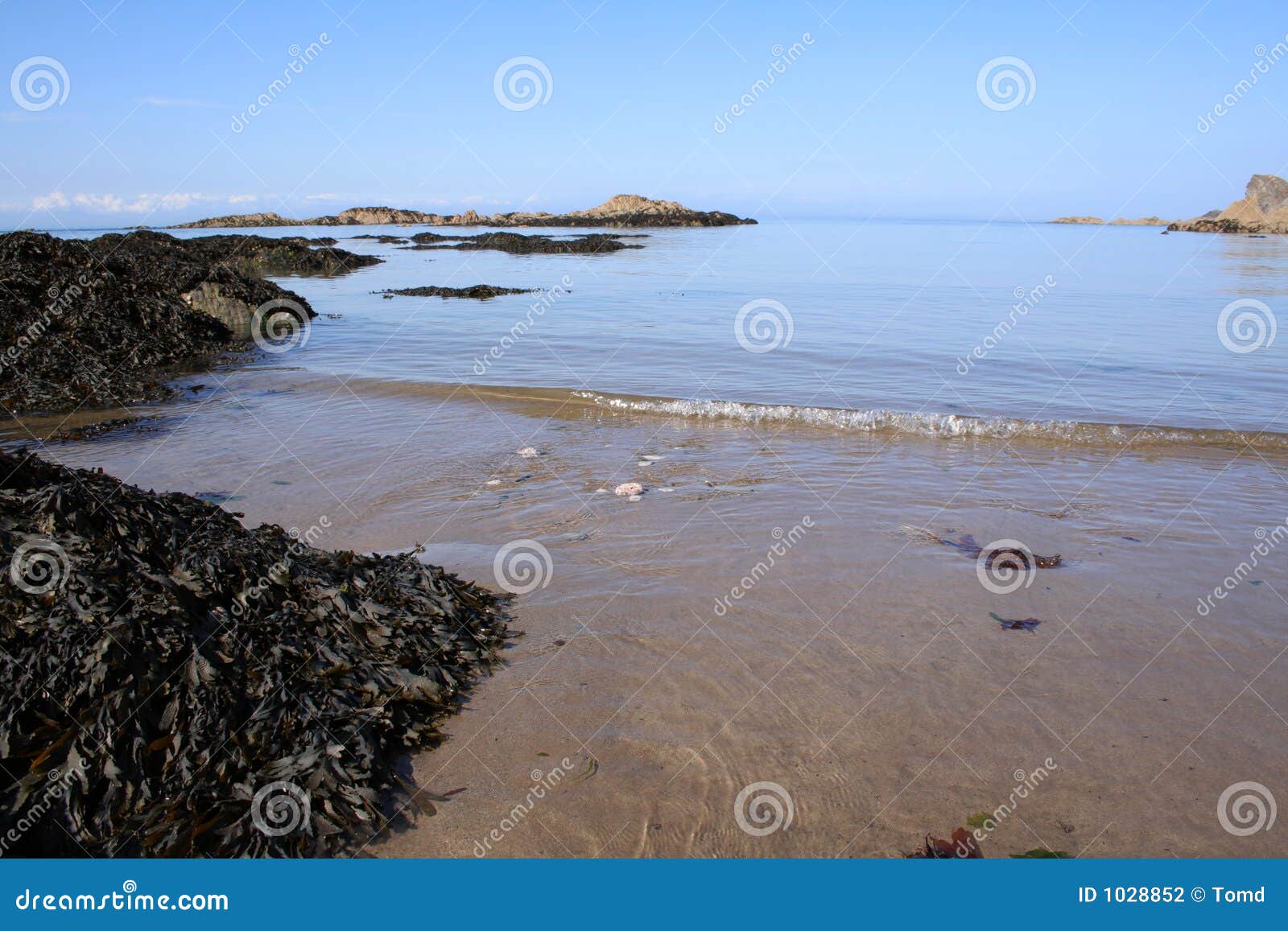Shoreline stock photo. Image of shore, calm, tranquil - 1028852