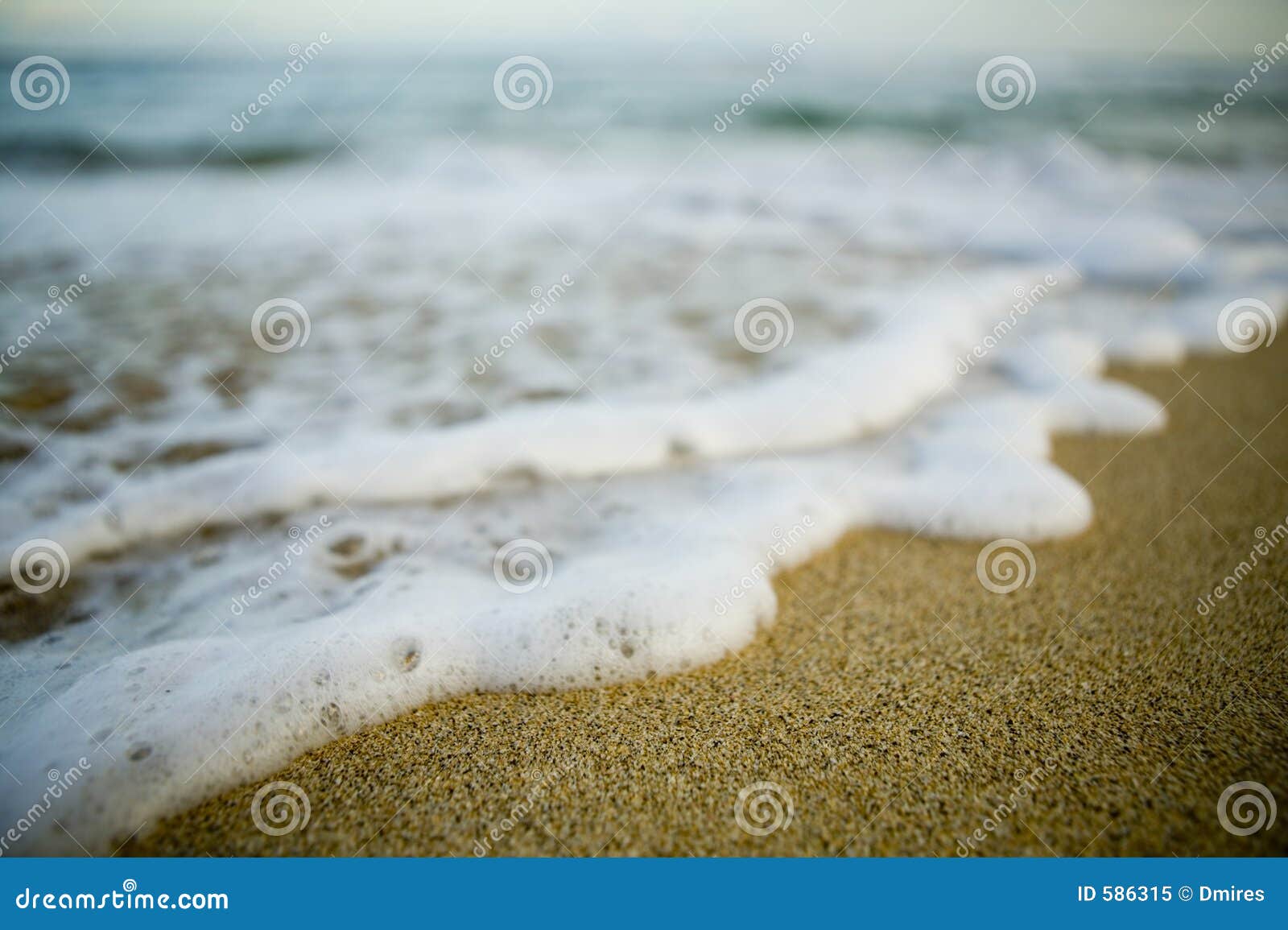 Shoreline stock image. Image of hawaii, field, clean, beach - 586315