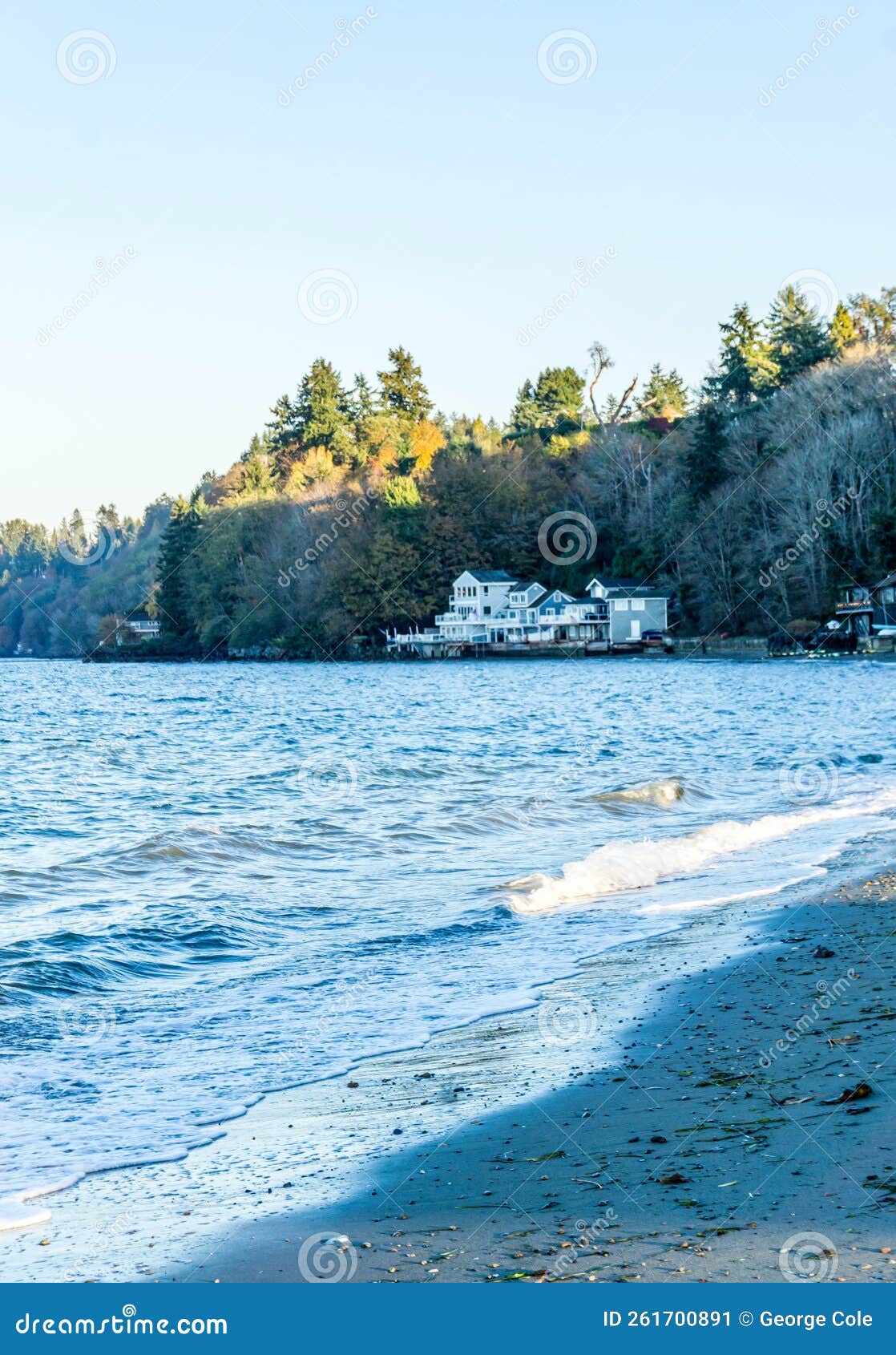 Shoreline at Dash Point 4 stock image. Image of washington - 261700891