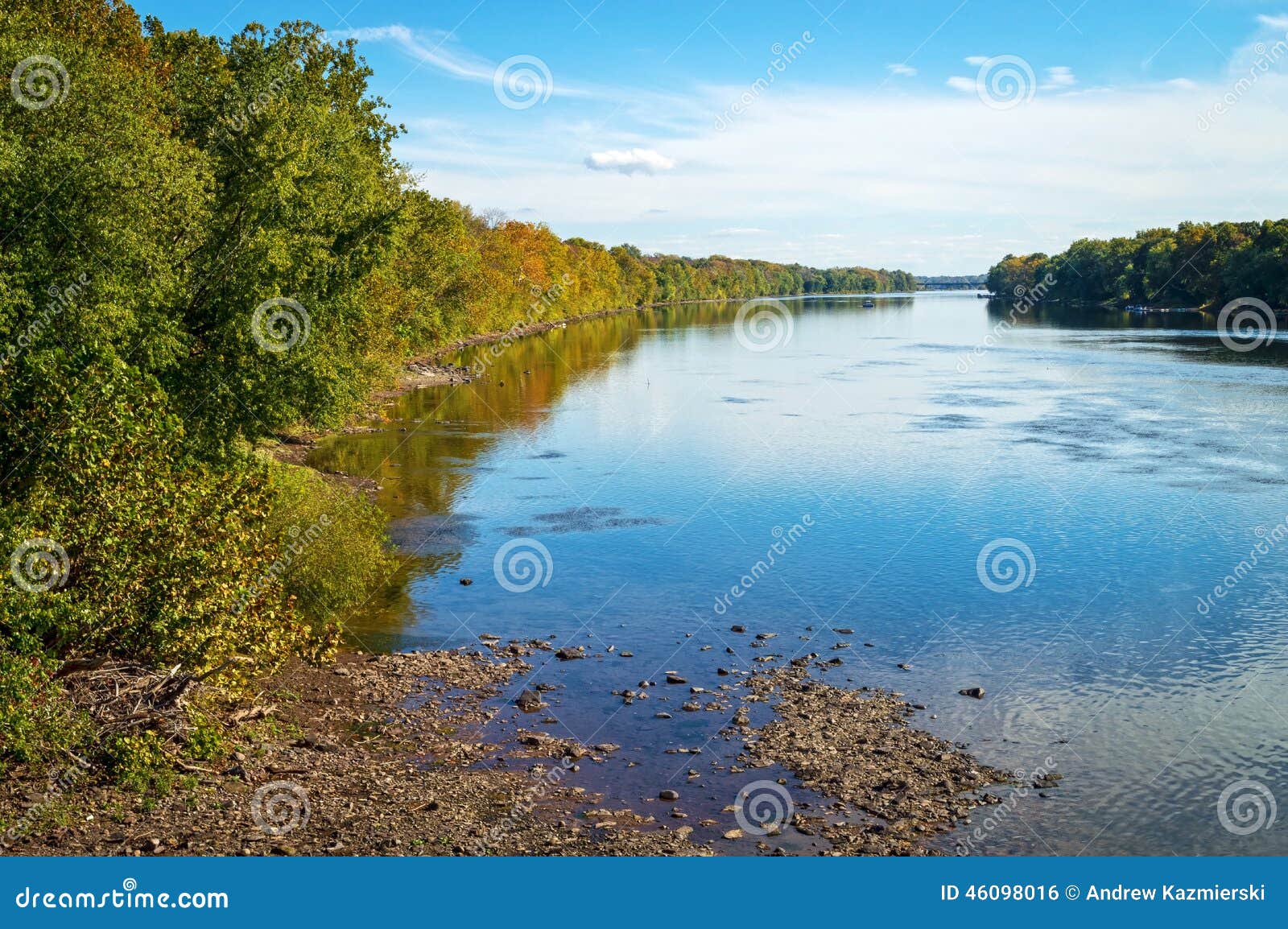 Shoreline Delaware River stock photo. Image of forest - 46098016