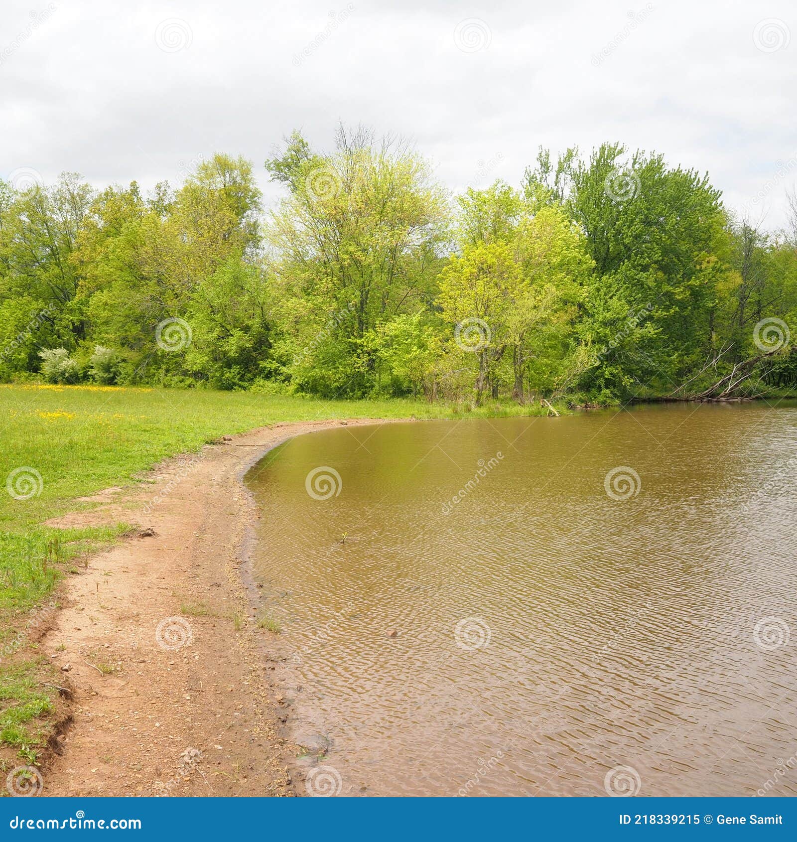Springtime at the Lake in the State Park. Stock Image - Image of ...