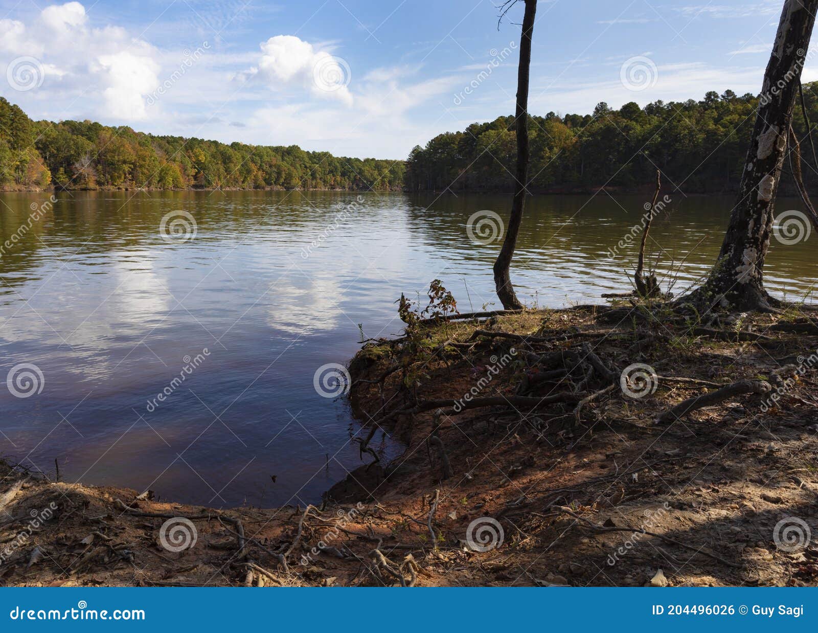 Shoreline on a Lake in North Carolina Stock Photo - Image of autumn ...