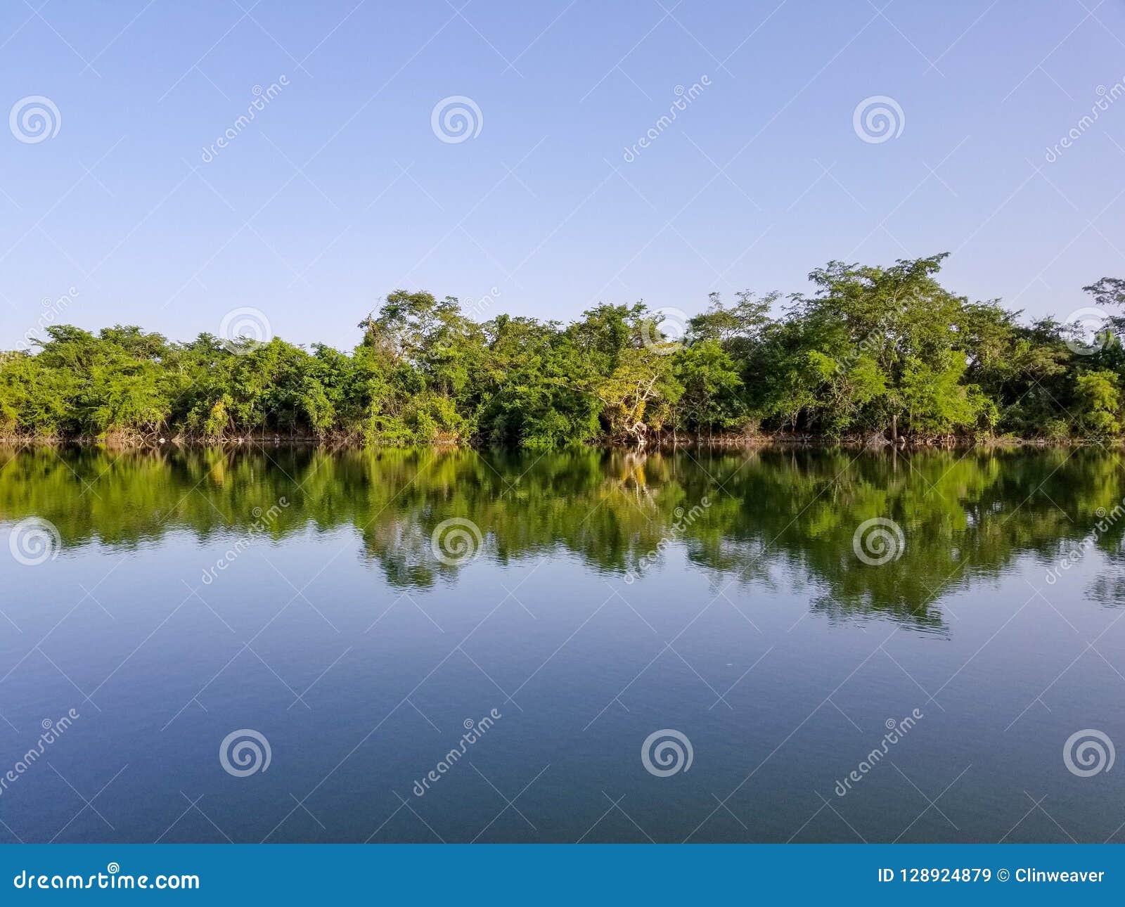 Shoreline Reflecting in the River Stock Image - Image of treeline ...