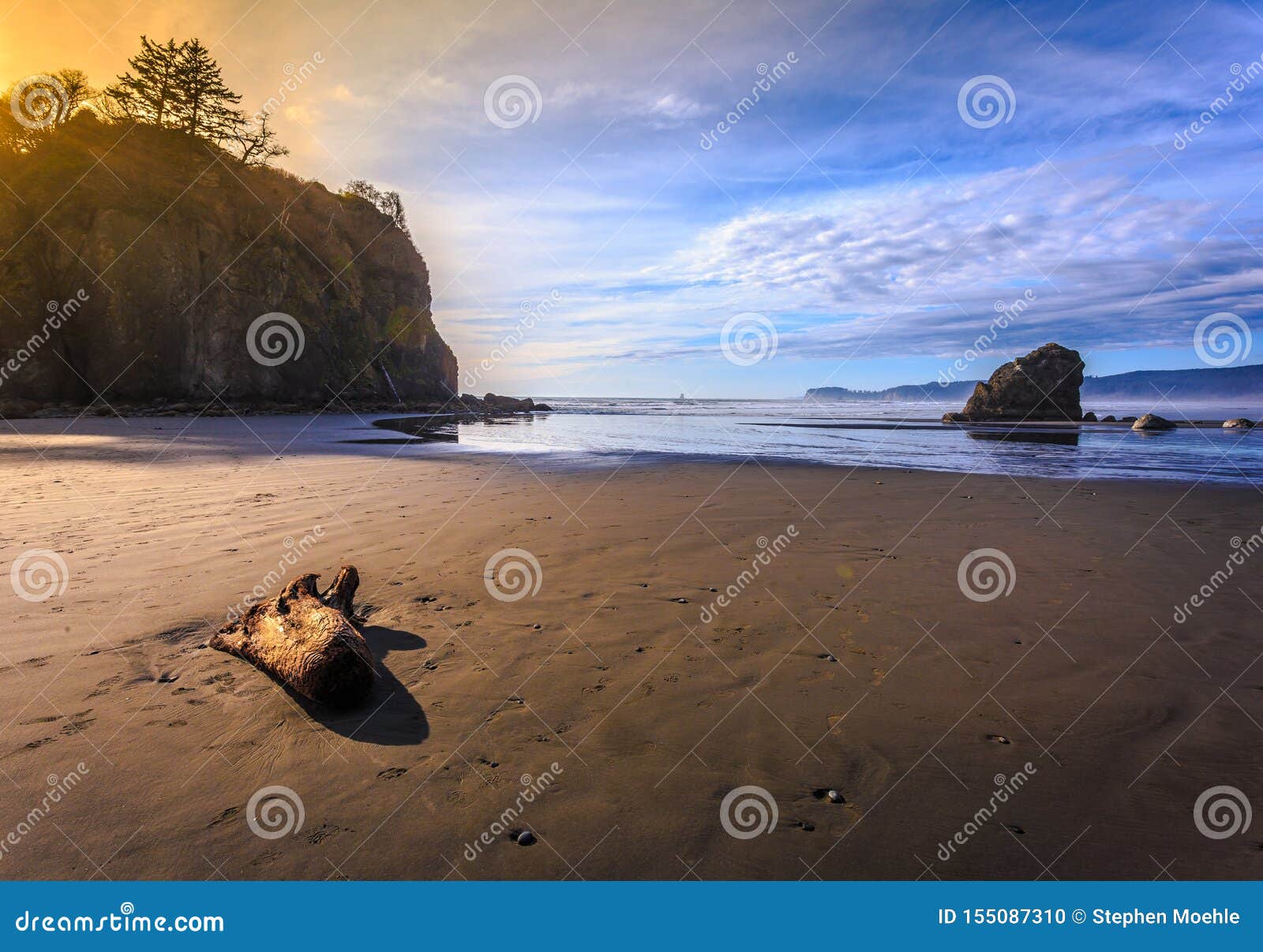 Shoreline Views at Ruby Beach Stock Photo - Image of beach, coastline ...