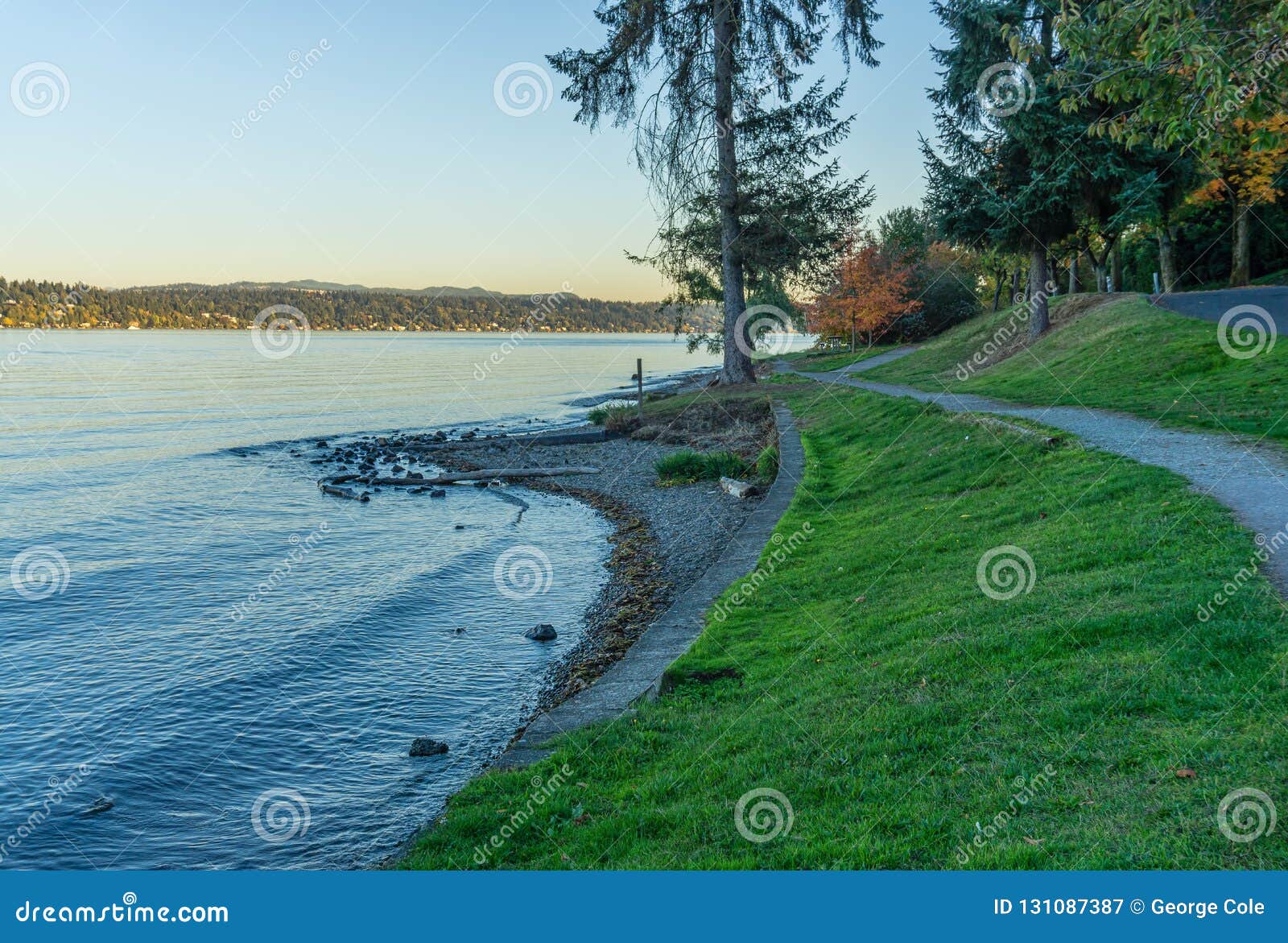 Shoreline Walking Path stock image. Image of lake, walking - 131087387