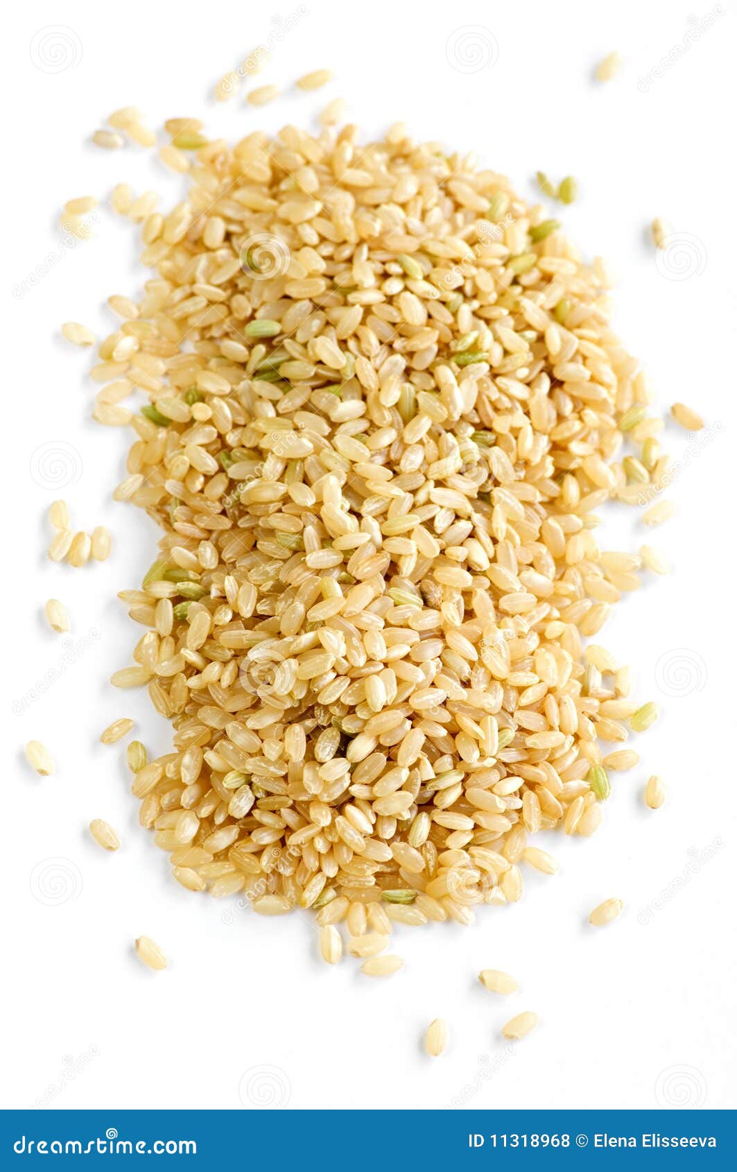 Short brown rice stock photo. Image of food, seed, isolated - 11318968