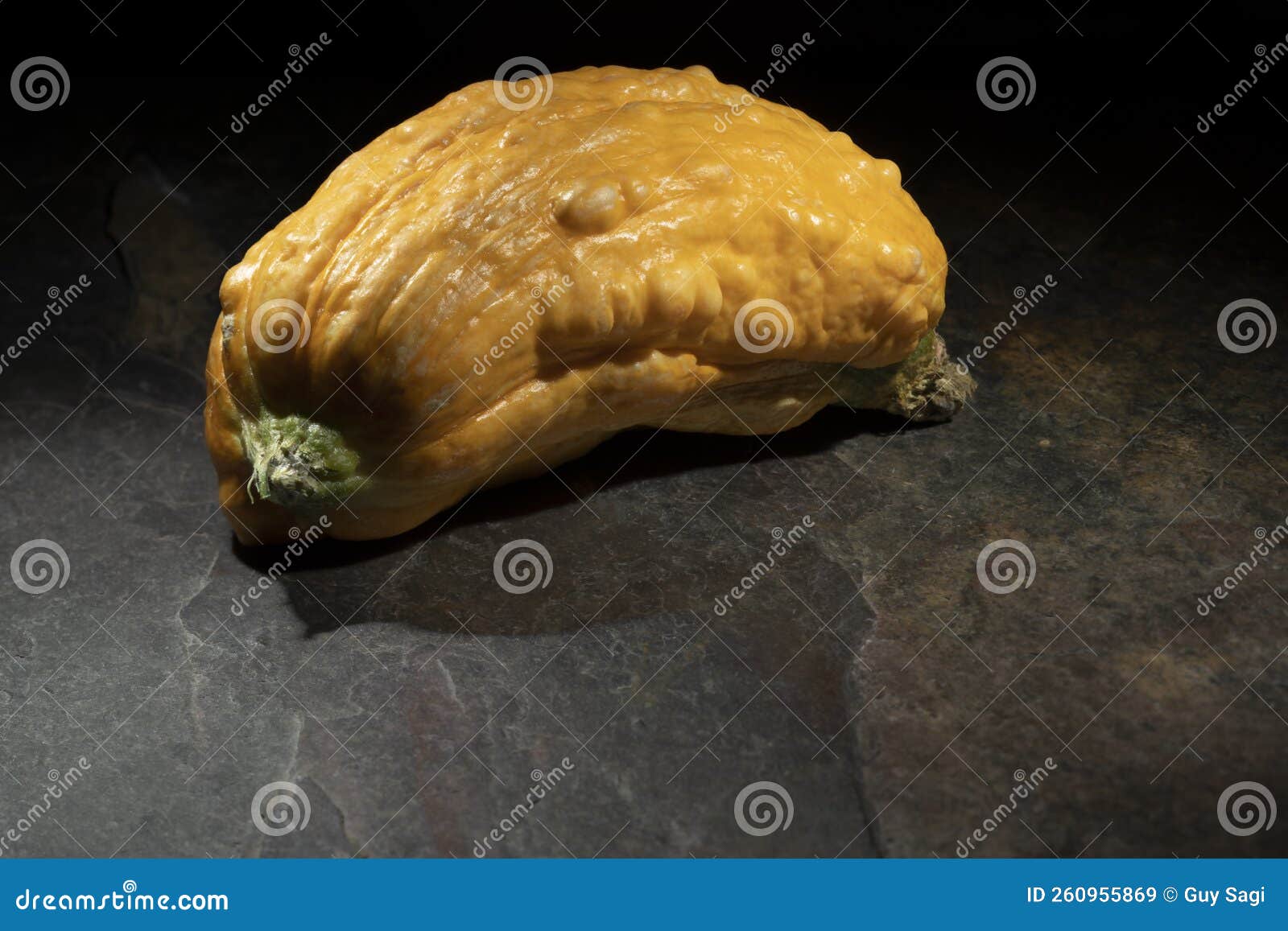 Short and Fat Yellow Squash on a Beige Stone Surface Stock Image ...