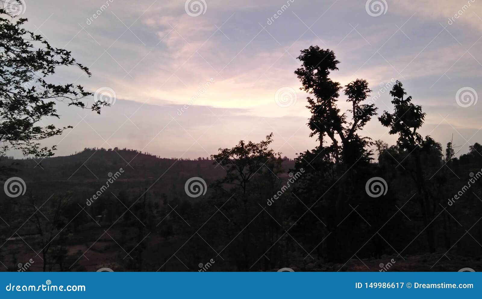 Short First pick stock image. Image of pick, nature - 149986617