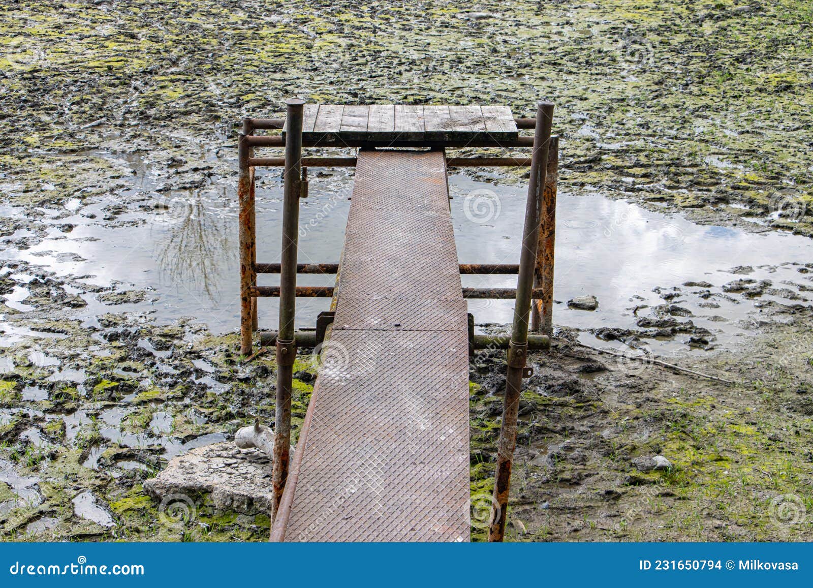 A Short Footbridge Over a Drained Pond Stock Photo - Image of muddy ...