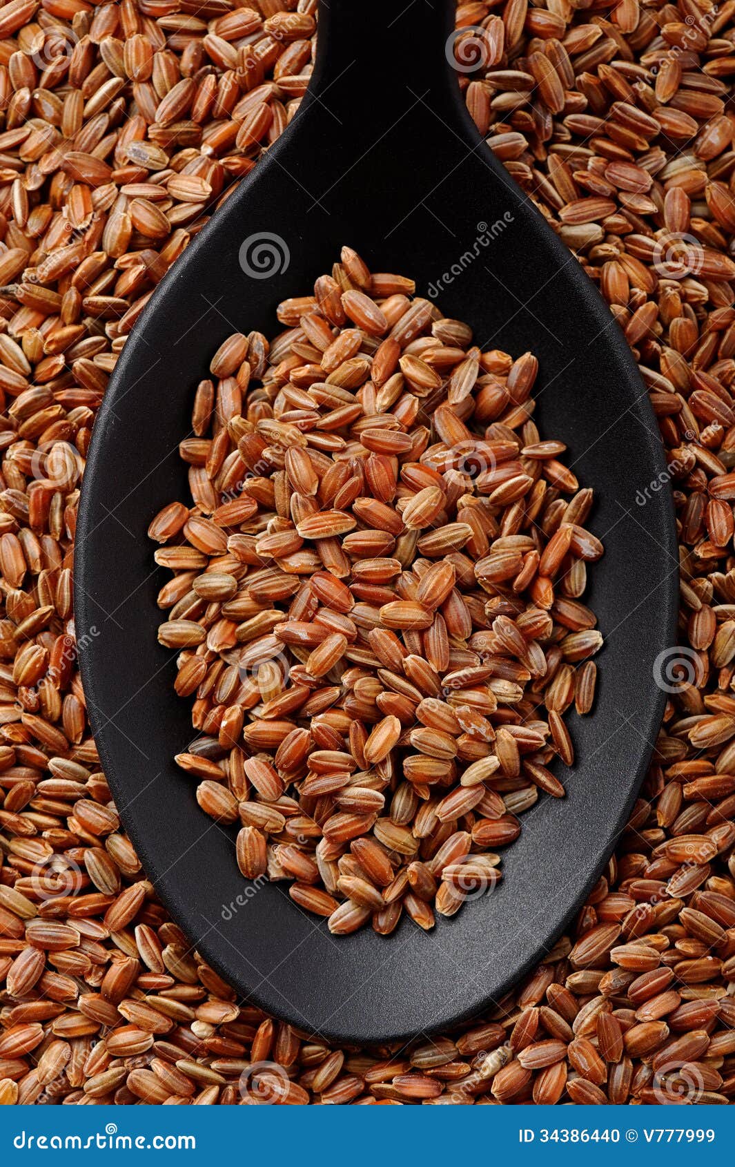 Short grain red rice stock photo. Image of textured, objects - 34386440