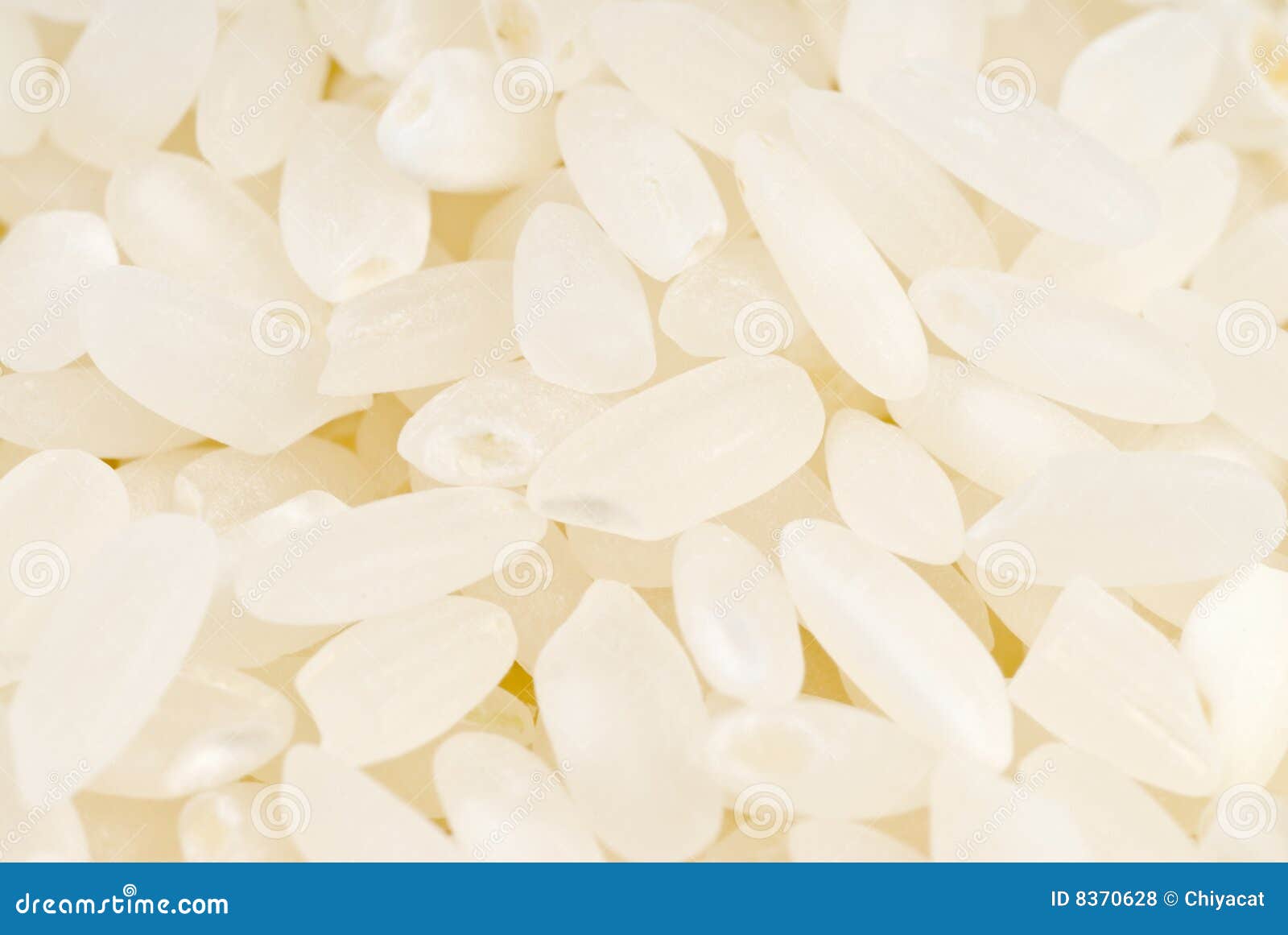 Short Grain Rice stock photo. Image of uncooked, texture - 8370628