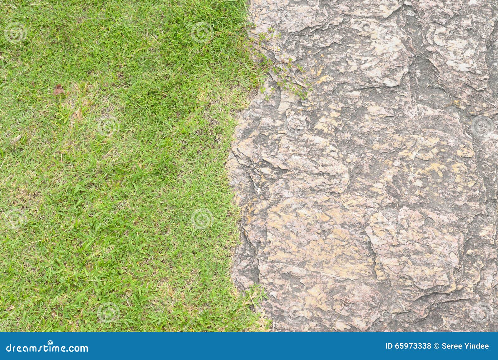 Short Grass Lawn and Seamless Rock Texture Stock Photo - Image of lane ...