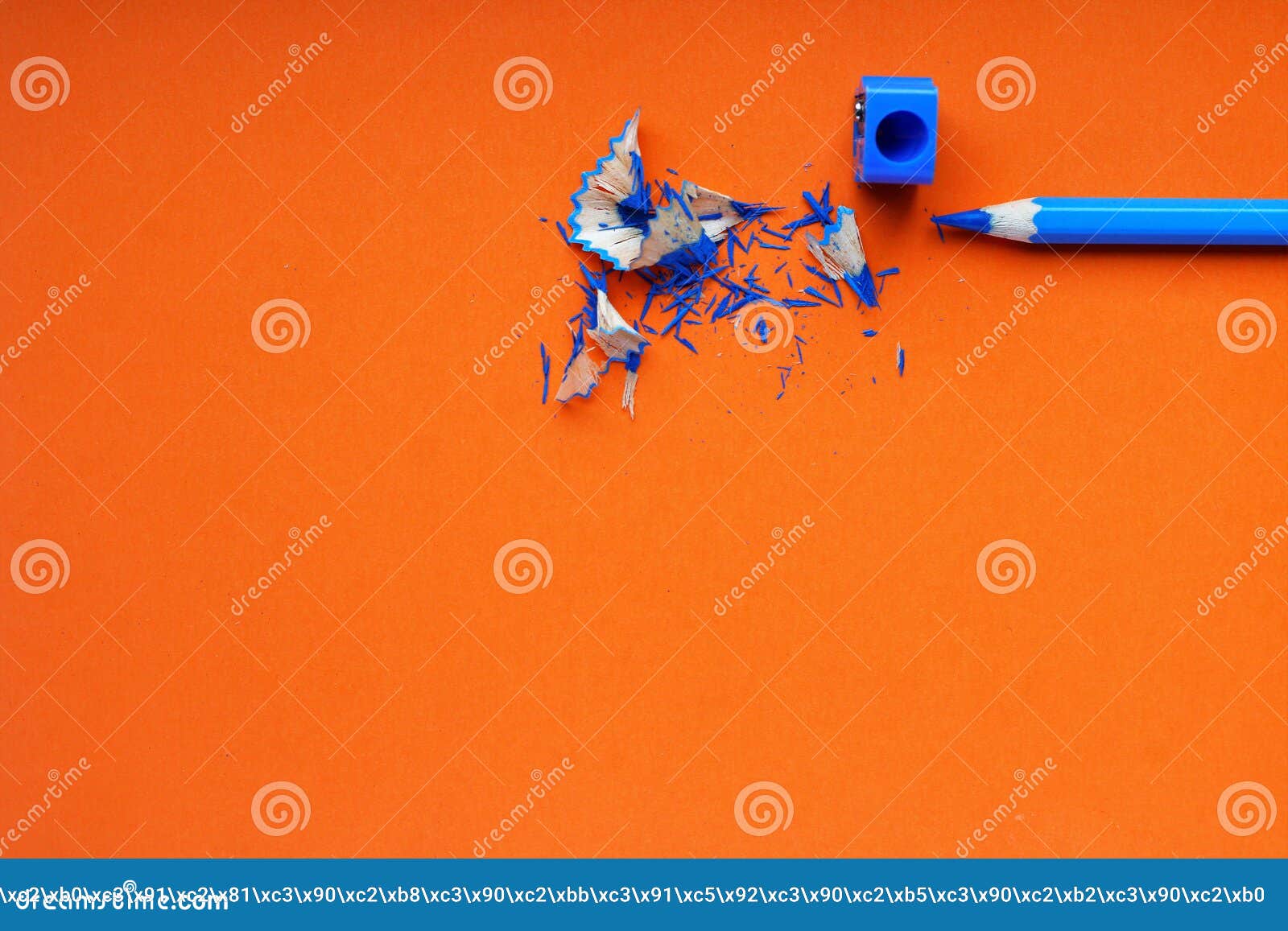 Sharpened the blue pencil stock image. Image of study - 196962161