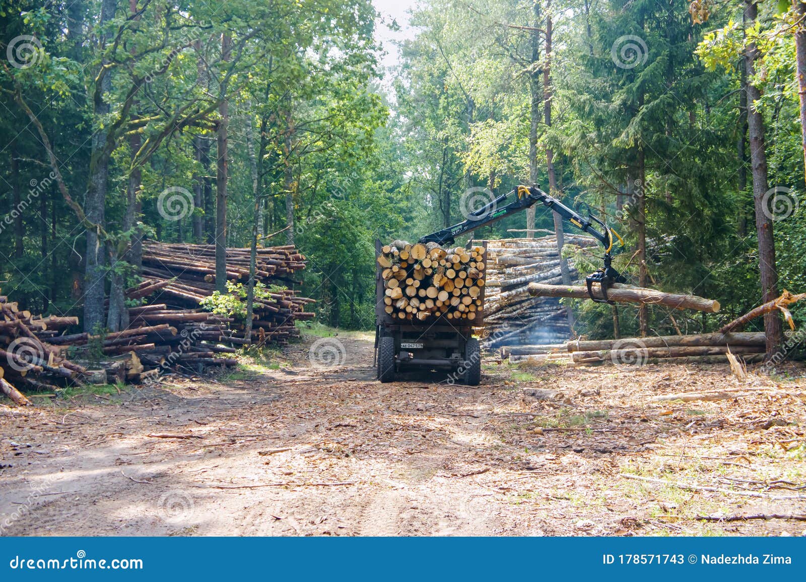 Short Log Truck, Timber Truck, Loading Logs in the Forest, Manipulator ...