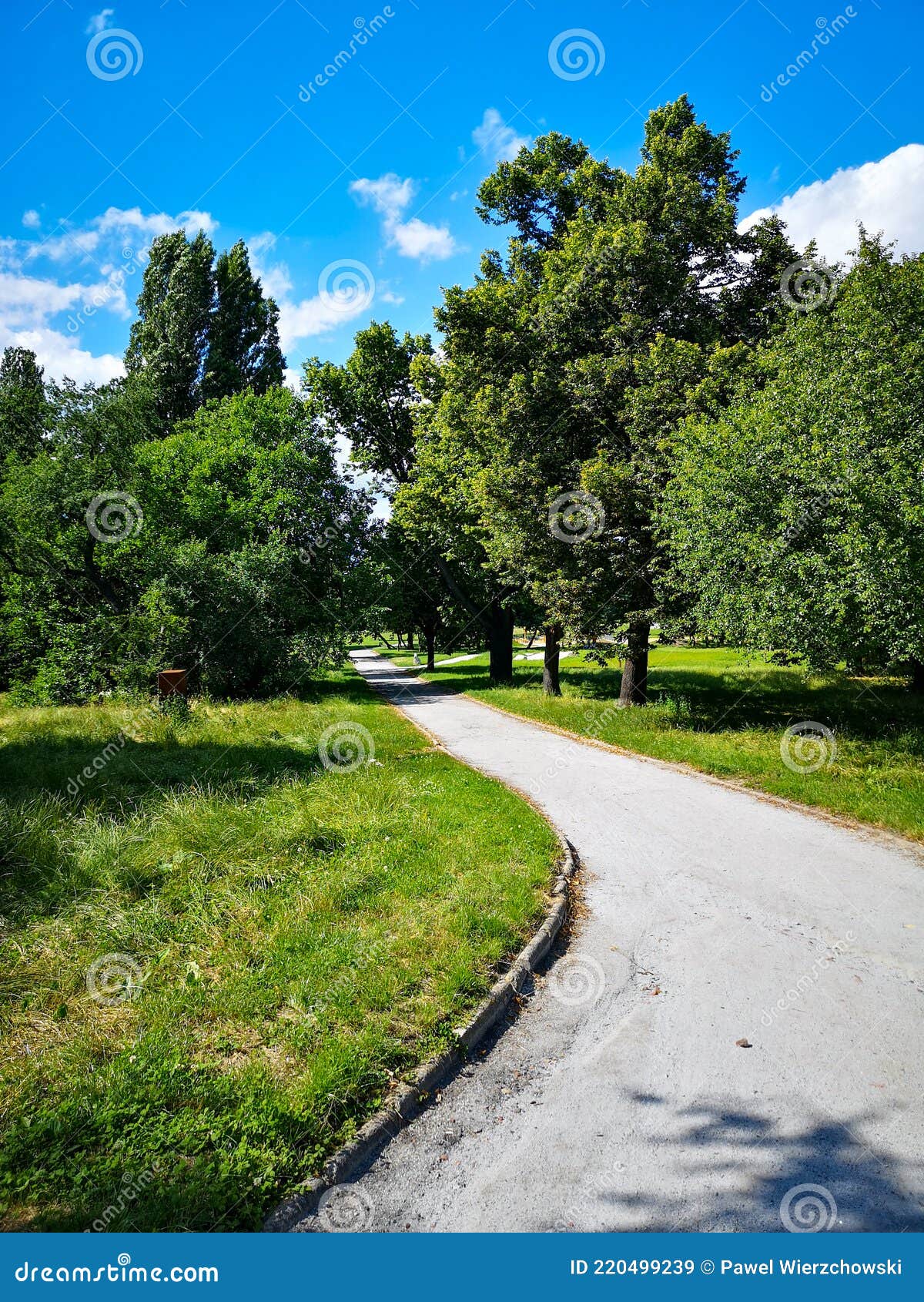 Short Path between Bushes and Trees in Small Park Stock Image - Image ...