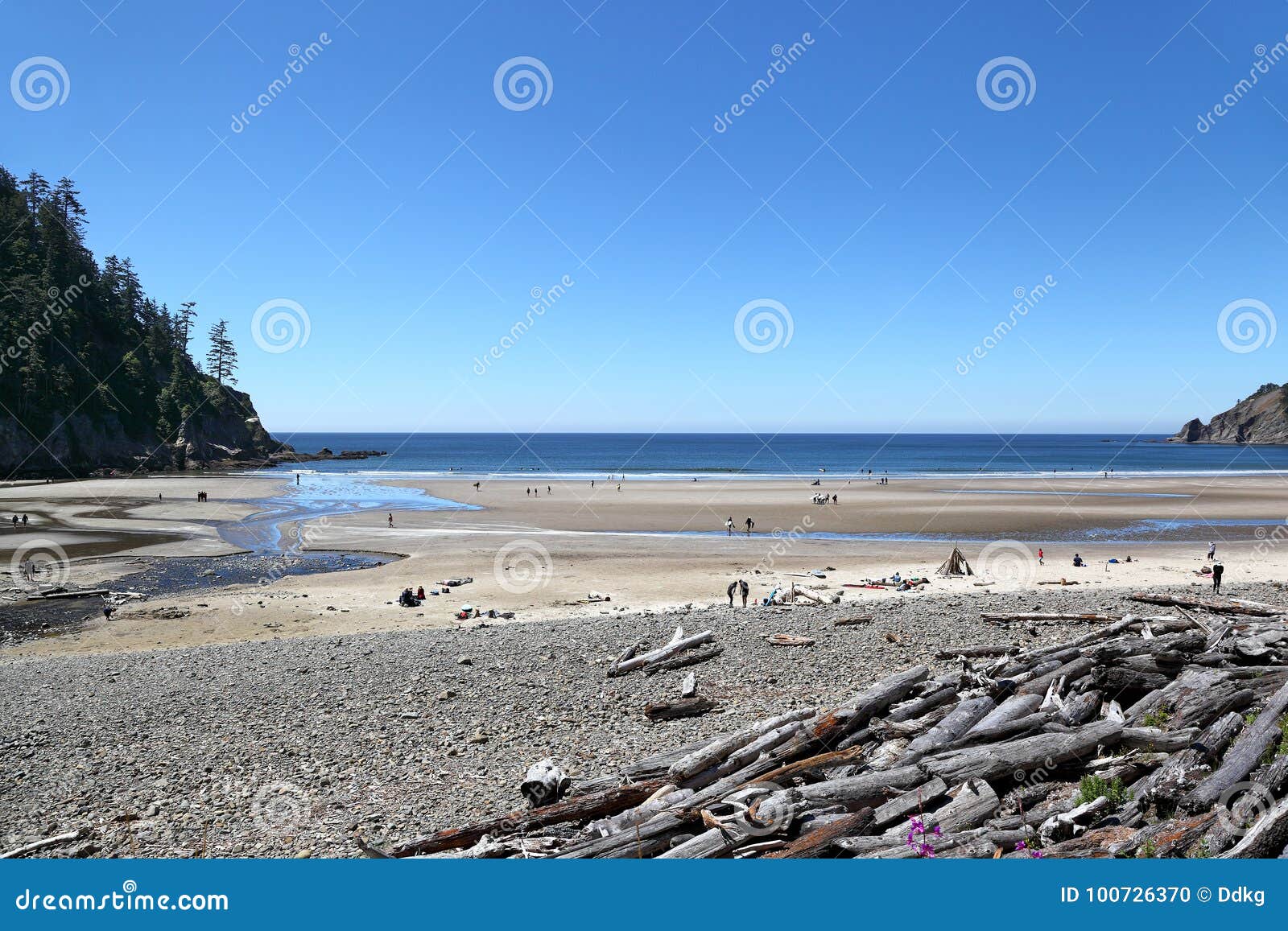 Short Sand Beach, Oregon stock photo. Image of states - 100726370