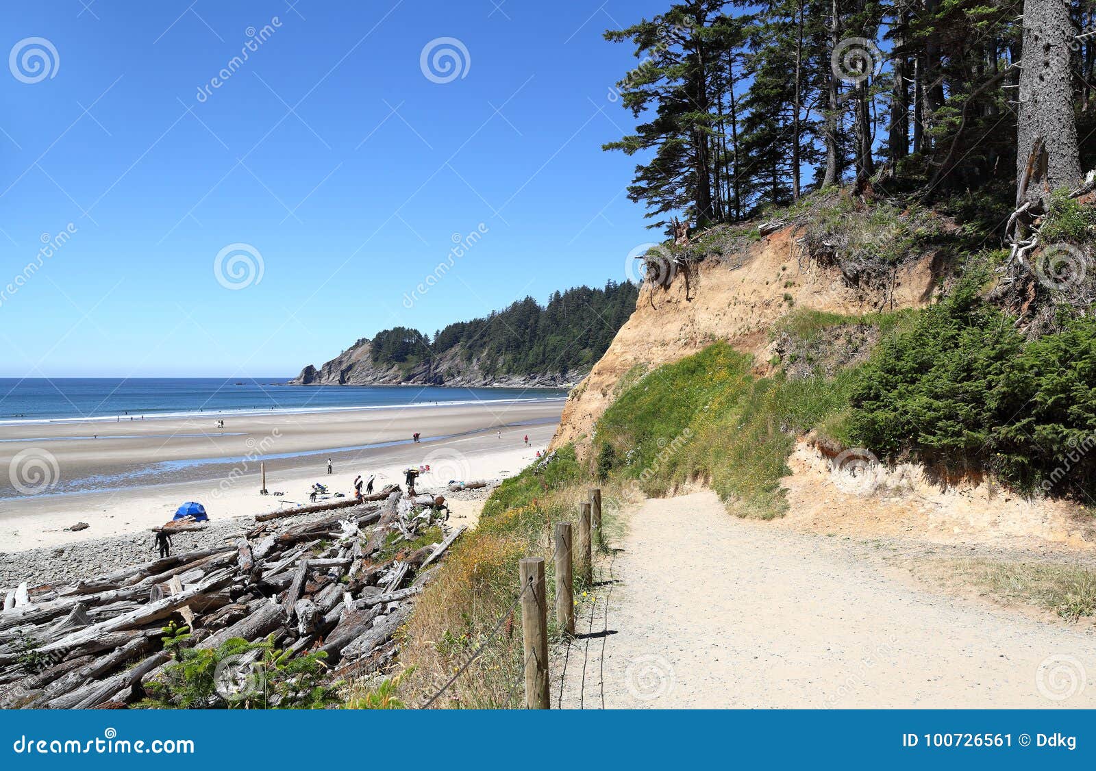 Short Sand Beach, Oregon stock image. Image of coastline - 100726561