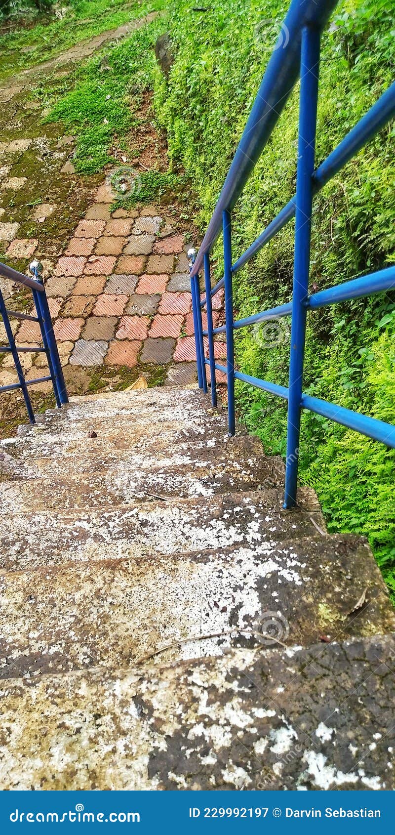 A Short Steps stock image. Image of soil, park, asphalt - 229992197