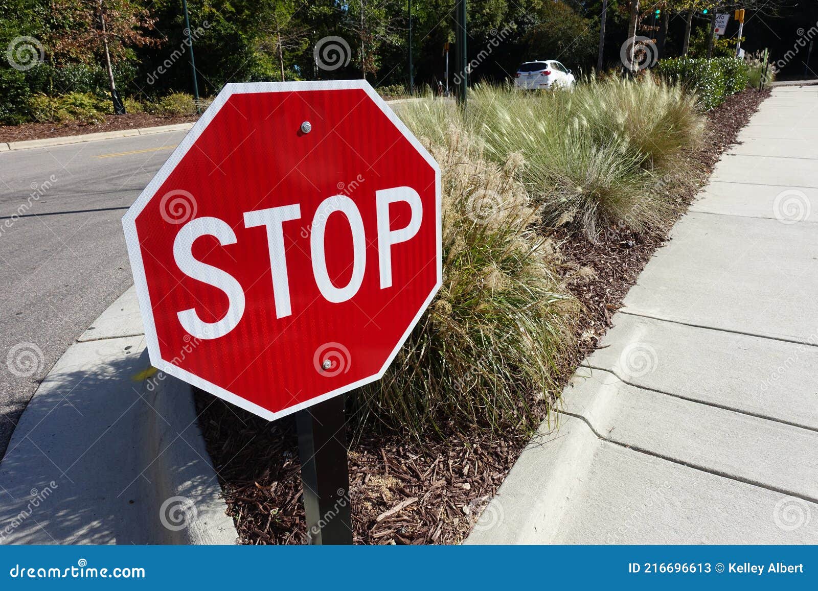 Short Stop Sign at an Intersection Stock Image - Image of road, warning ...