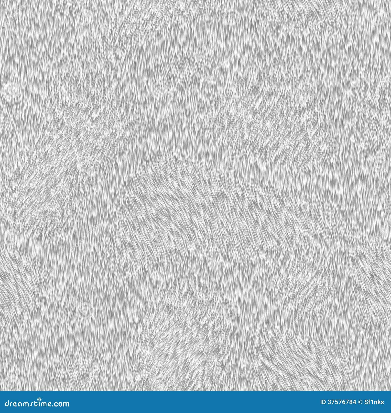 Short White Fur Texture Stock Photography | CartoonDealer.com #37576784