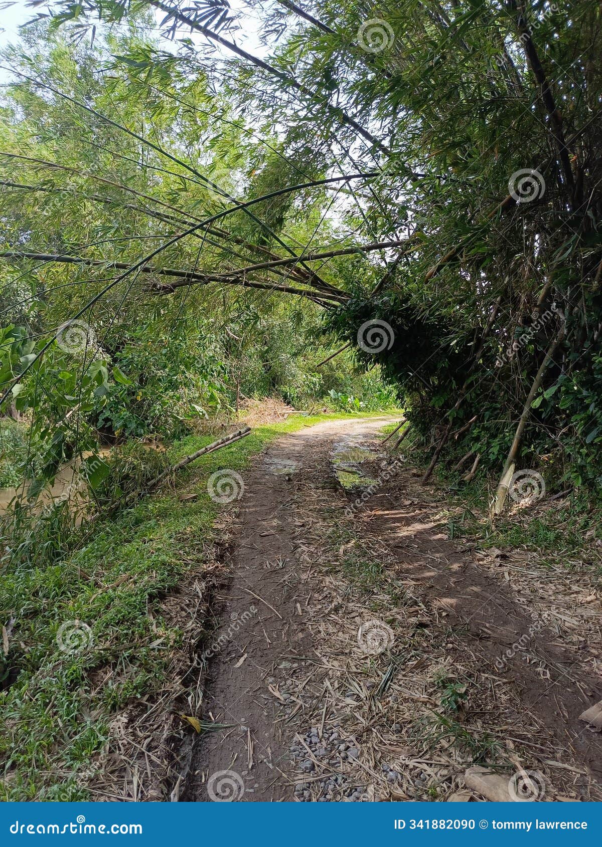 Shortcut Back Road Offroad Muddy Stock Photo - Image of shortcut, muddy ...