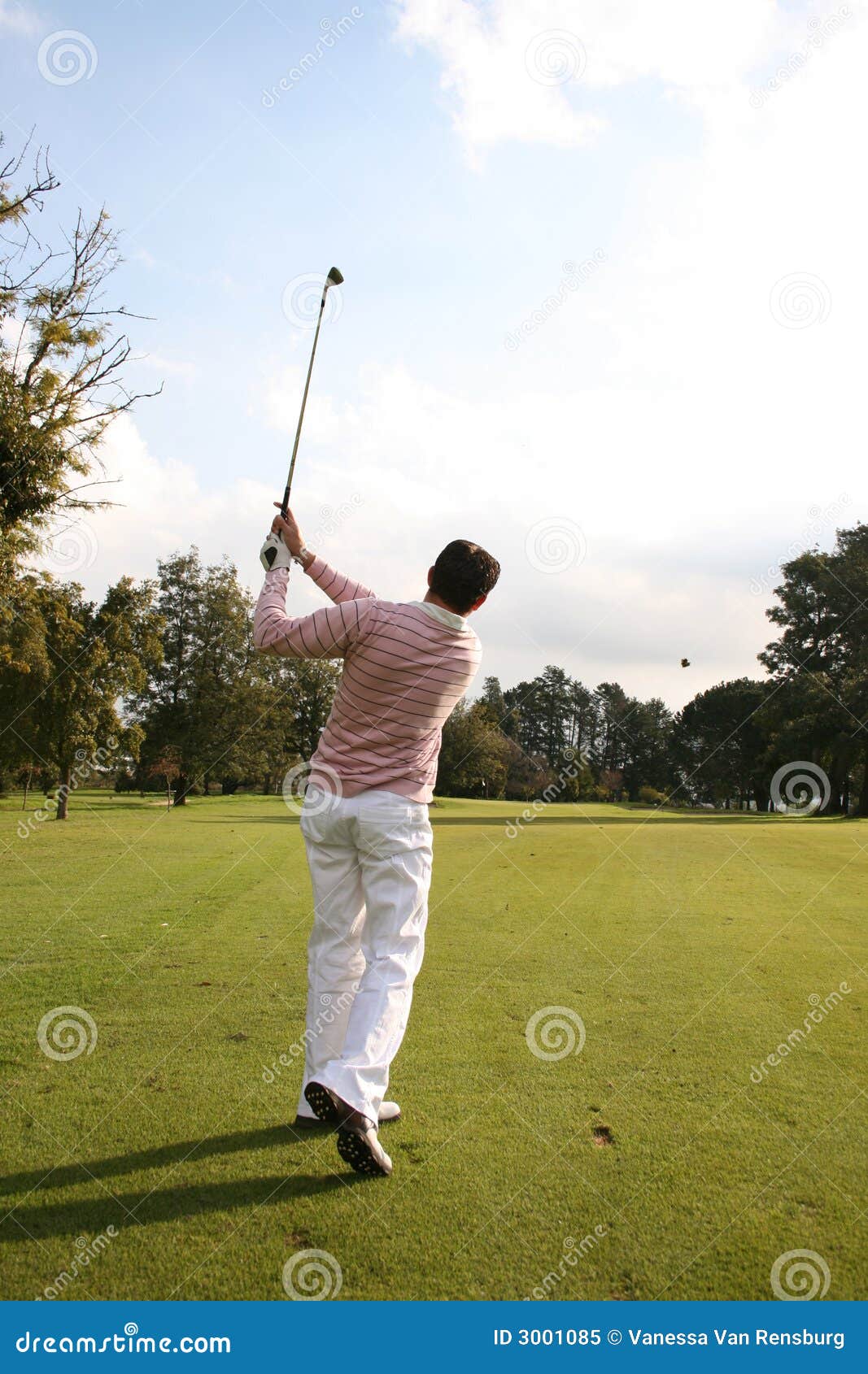 Shot stock image. Image of career, active, athletic, sportsman - 3001085