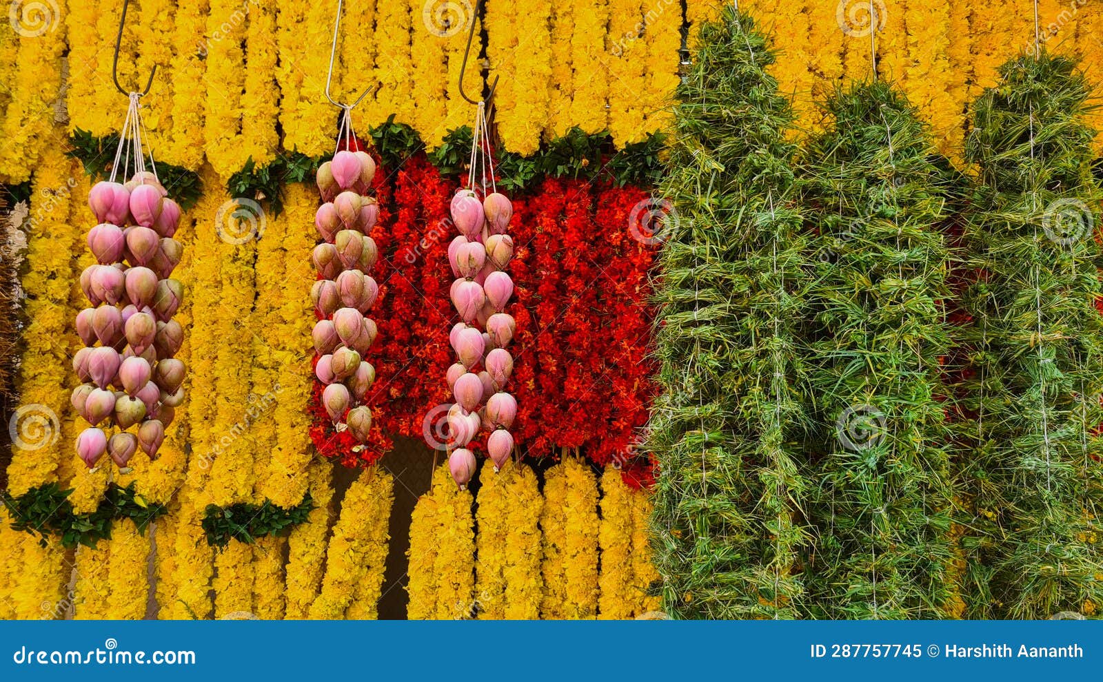 Shot of an Array of Different Flower Garlands Hanging in a Flower Shop ...