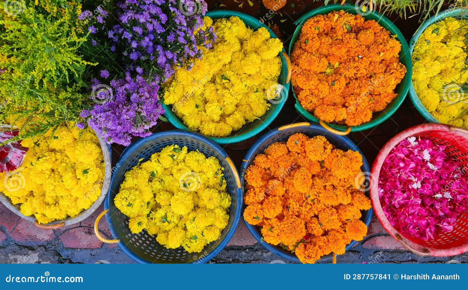 Shot of an Array of Different Flowers in a Basket. Stock Image - Image ...
