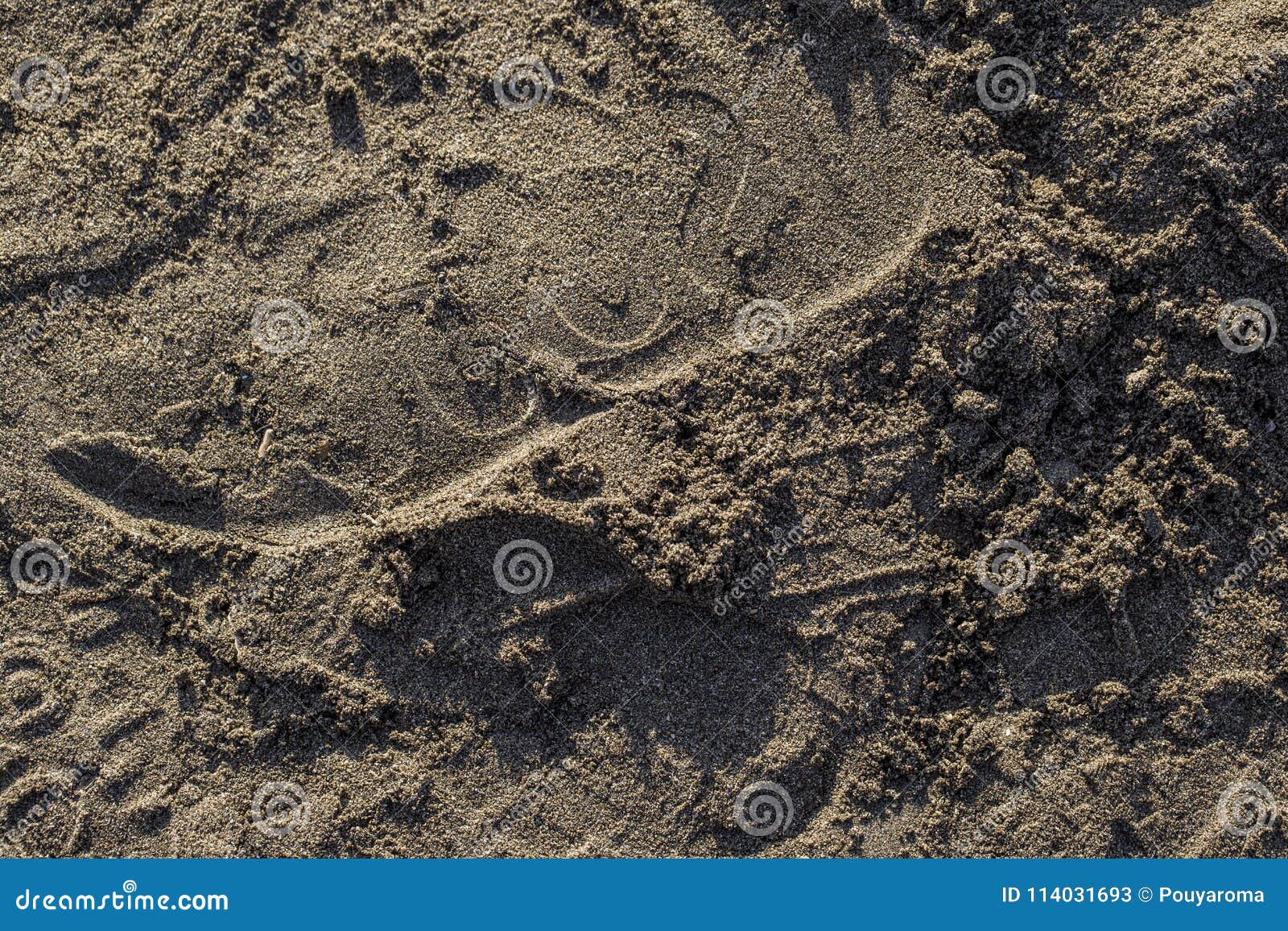 Beach sand texture stock image. Image of beach, coast - 114031693