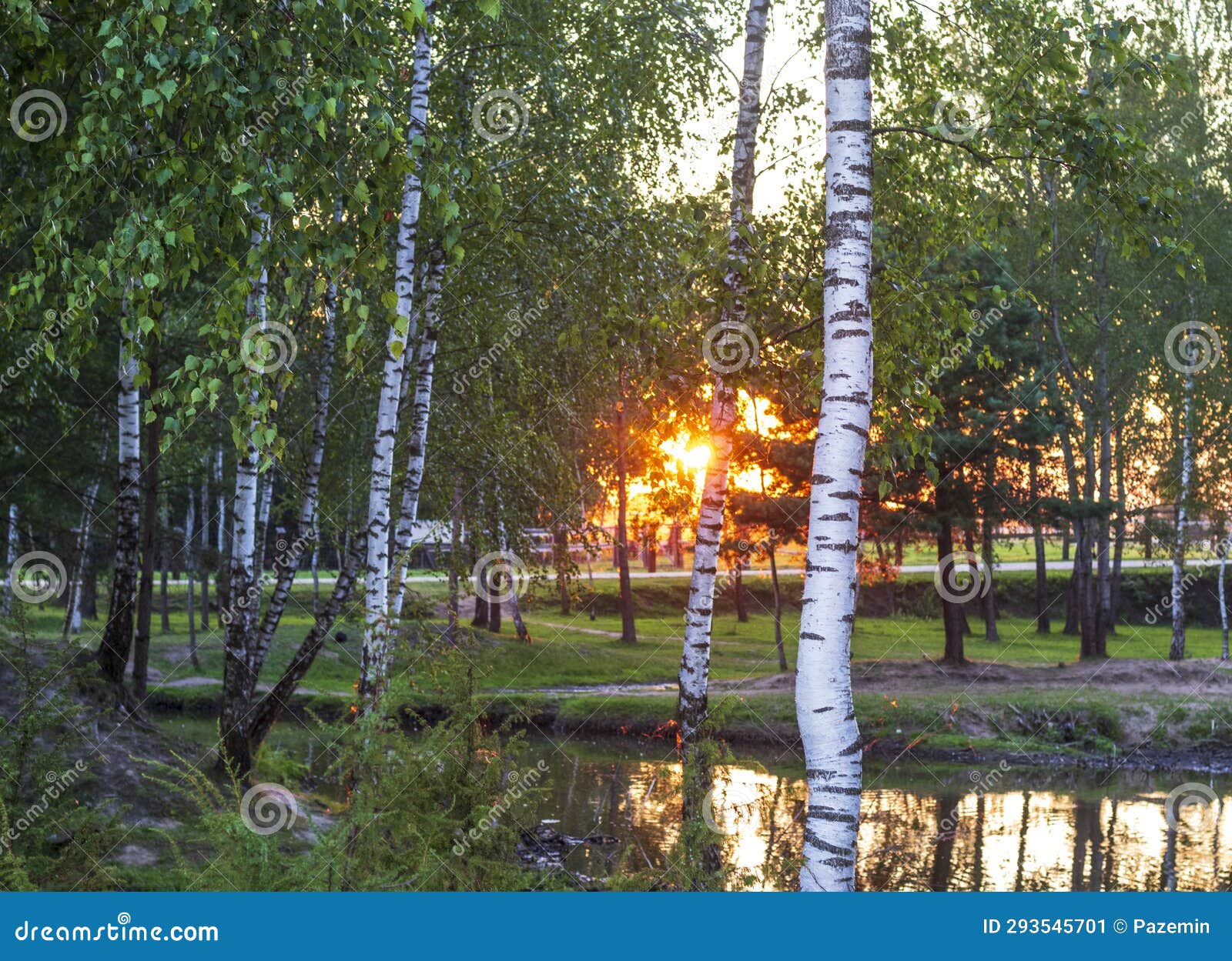 Shot of the Beautiful Sunset in the Village. Nature Stock Image - Image ...