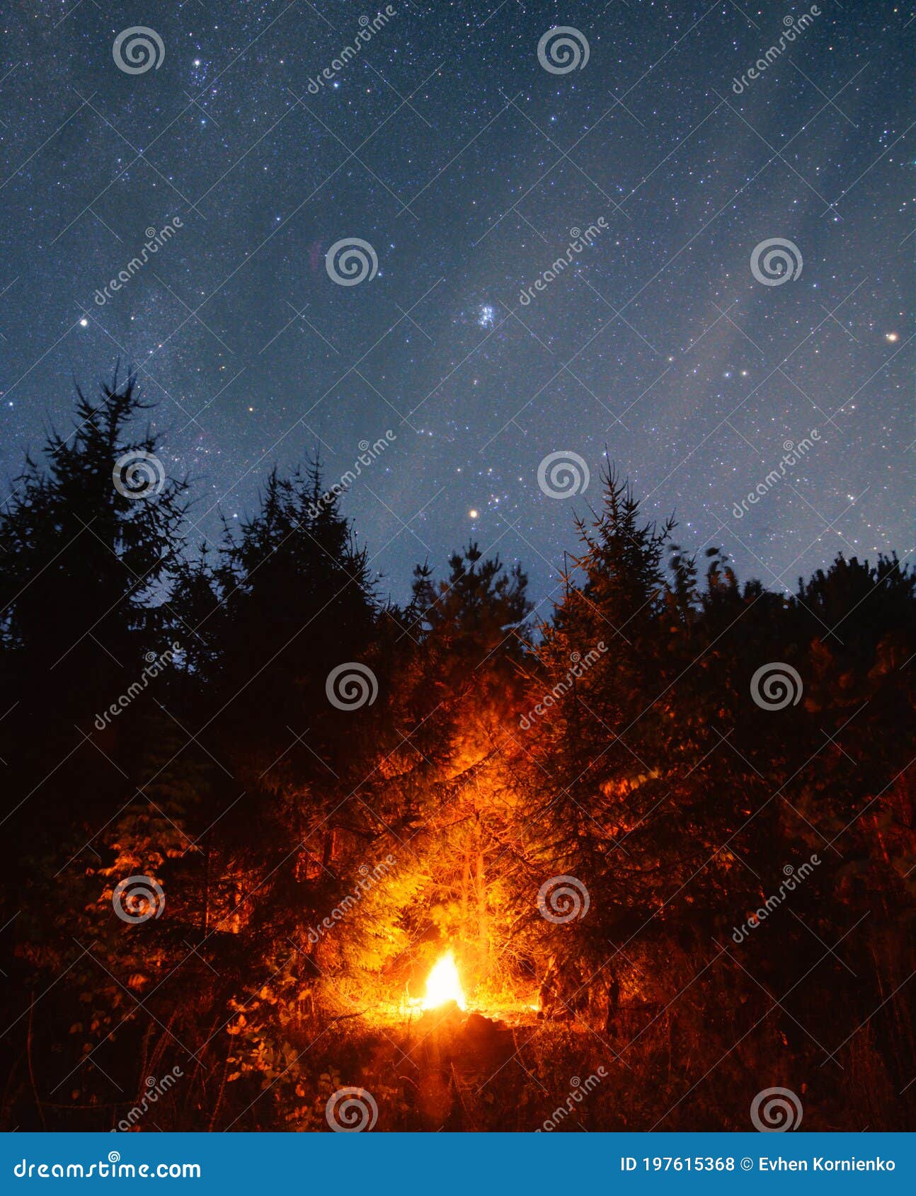 Camp Fire in the Forest with Long Exposure Night Sky. Alone in the ...