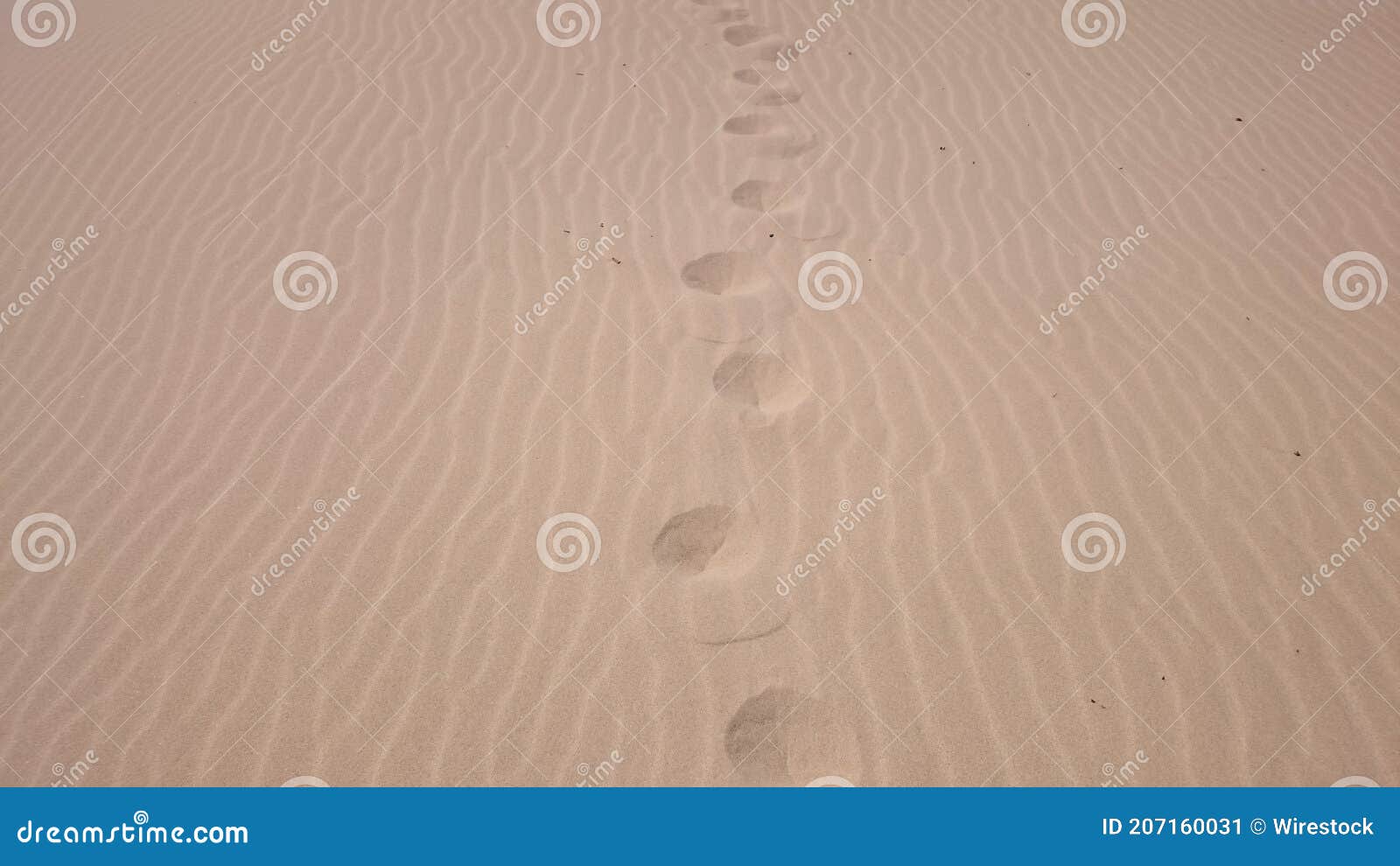 Shot of a Desert with Footsteps and Stripes on it in the Daytime Stock ...