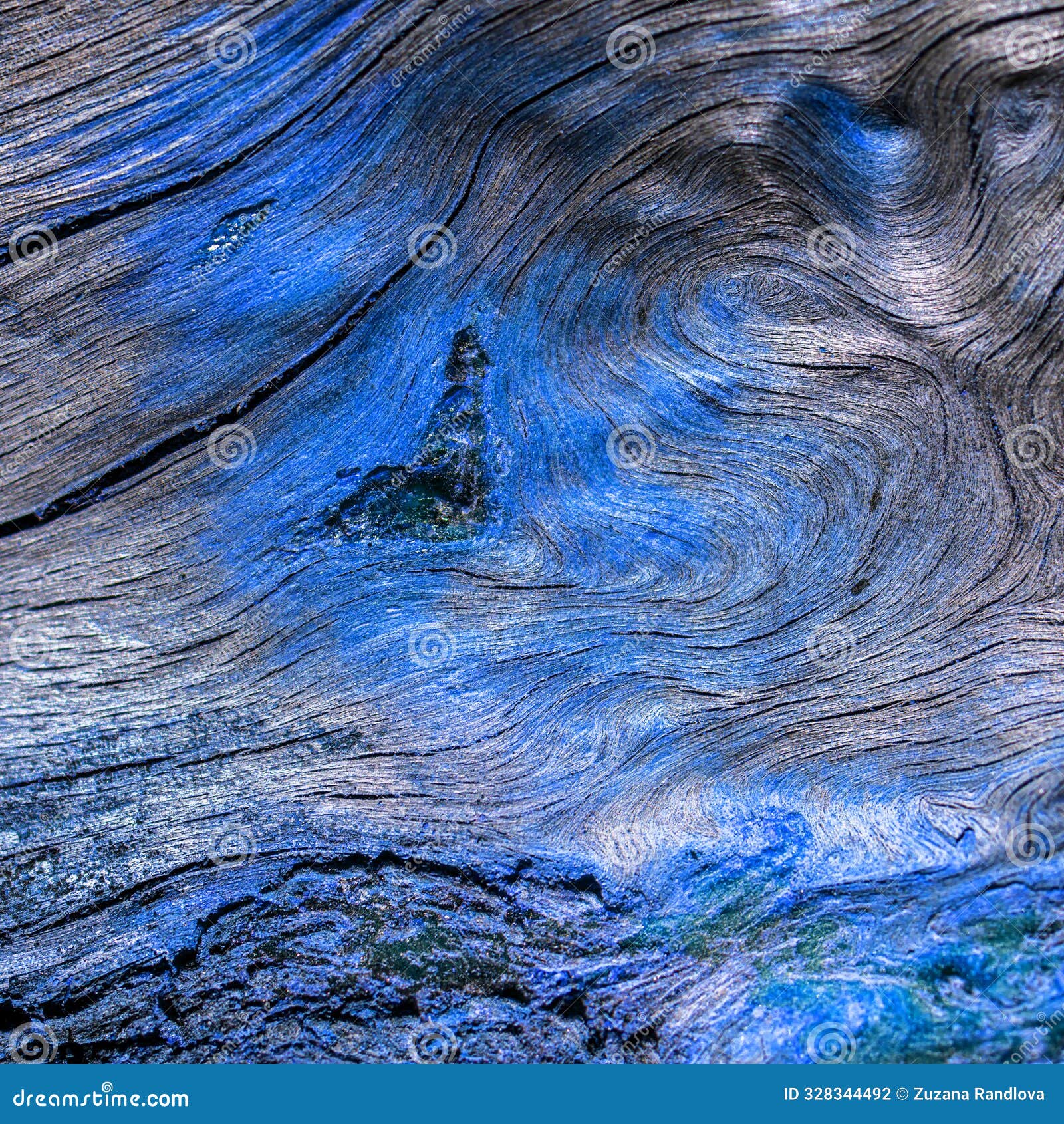 A Shot of a Dry, Cracked, Old Root with a Blue Color. Background Stock ...