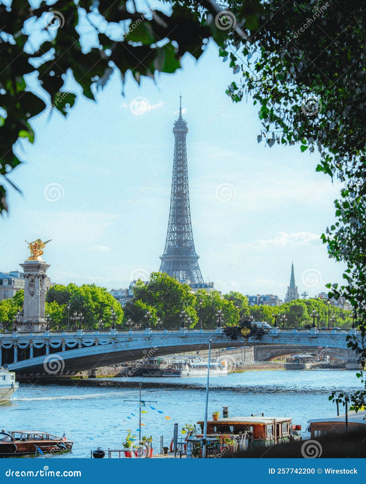 Shot of the Eiffel Tower and a Bridge with Leaves on the Foreground in ...