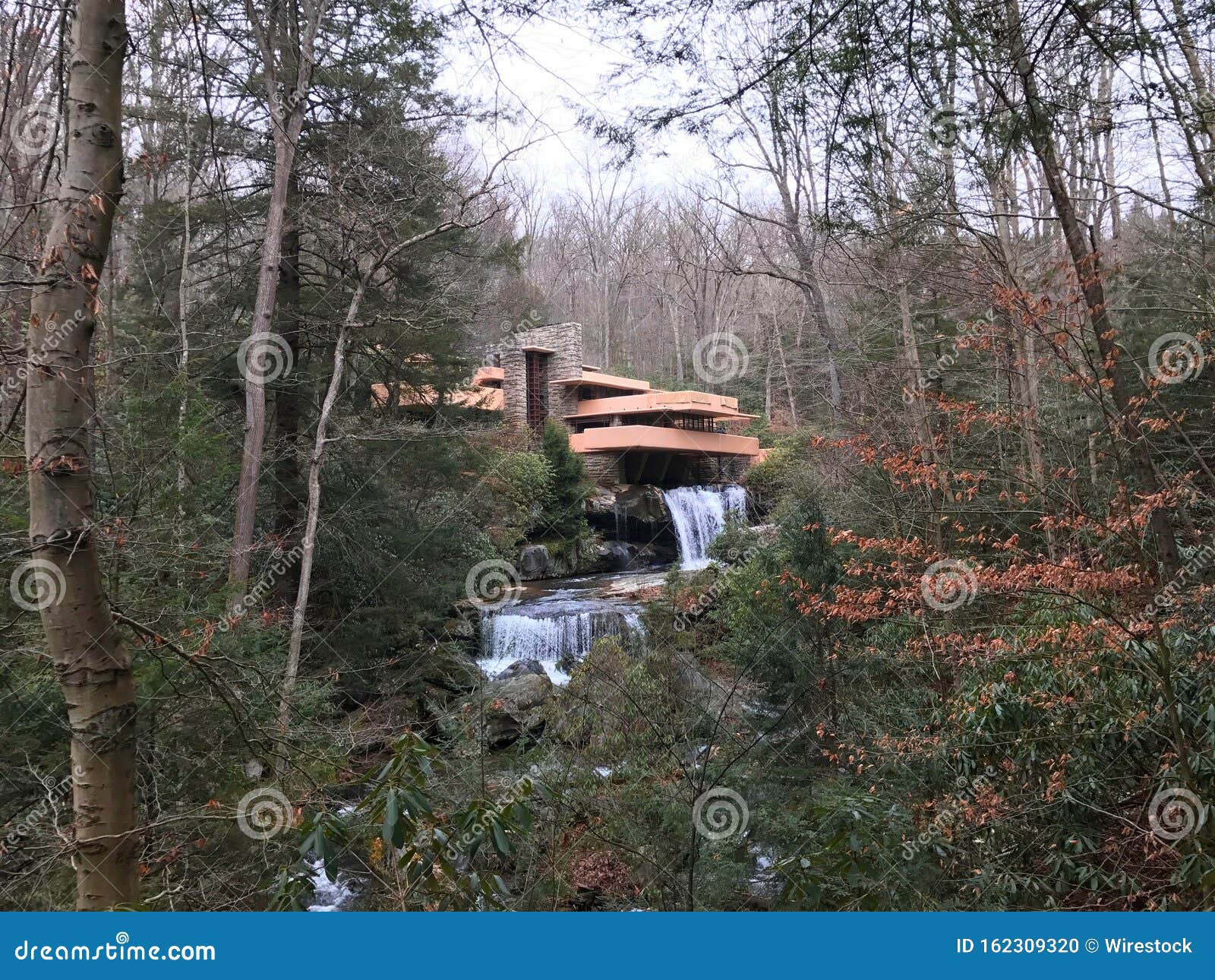Shot of a Fallingwater Surrounded by Beautiful Trees in a Forest during ...