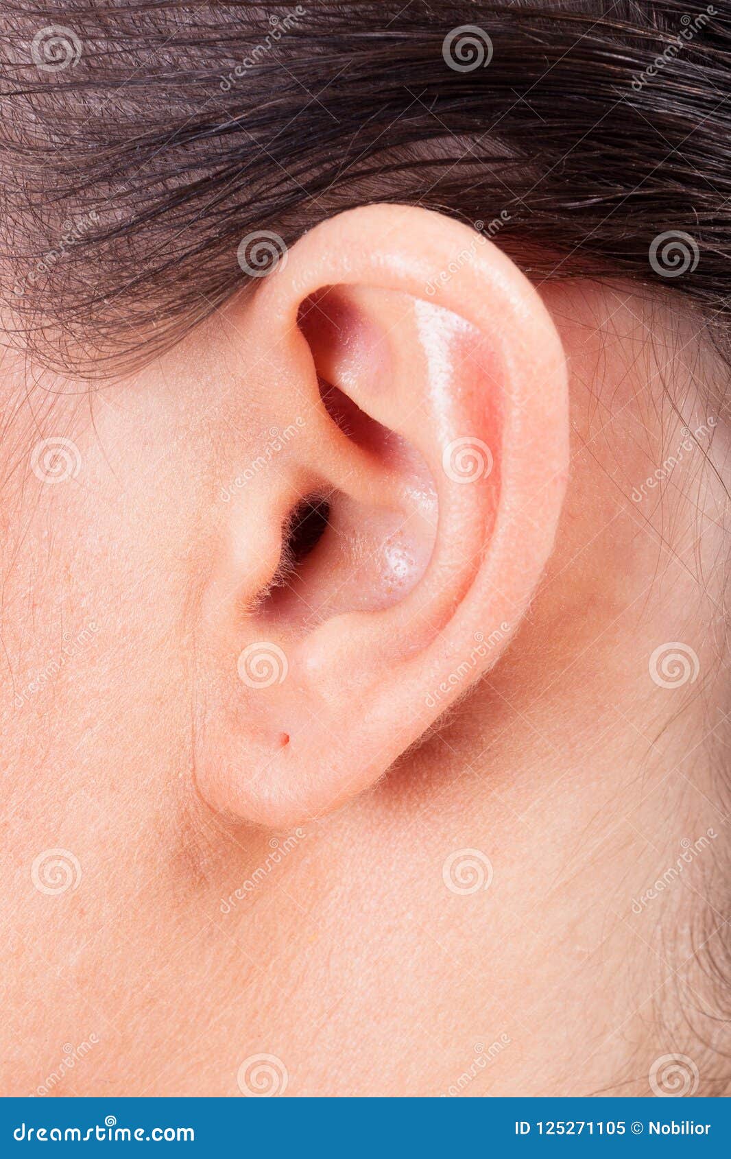 Shot of female ear stock image. Image of anatomy, ears - 125271105