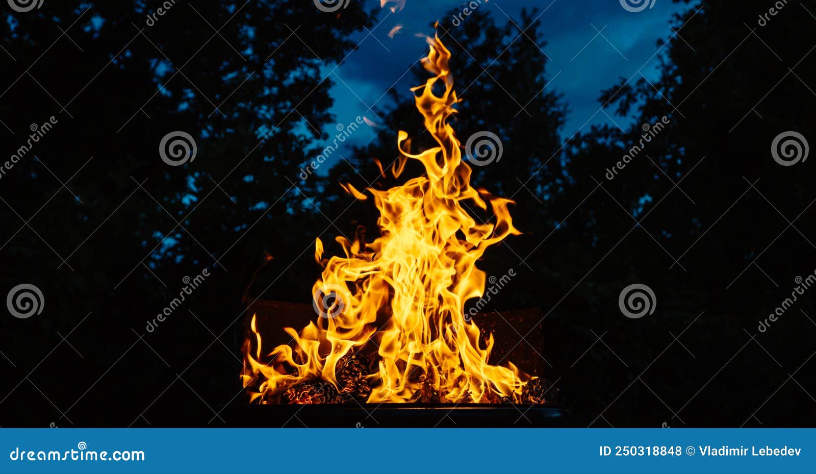 The Flame of a Fire Burning on the Street in the Late Evening Bonfire ...