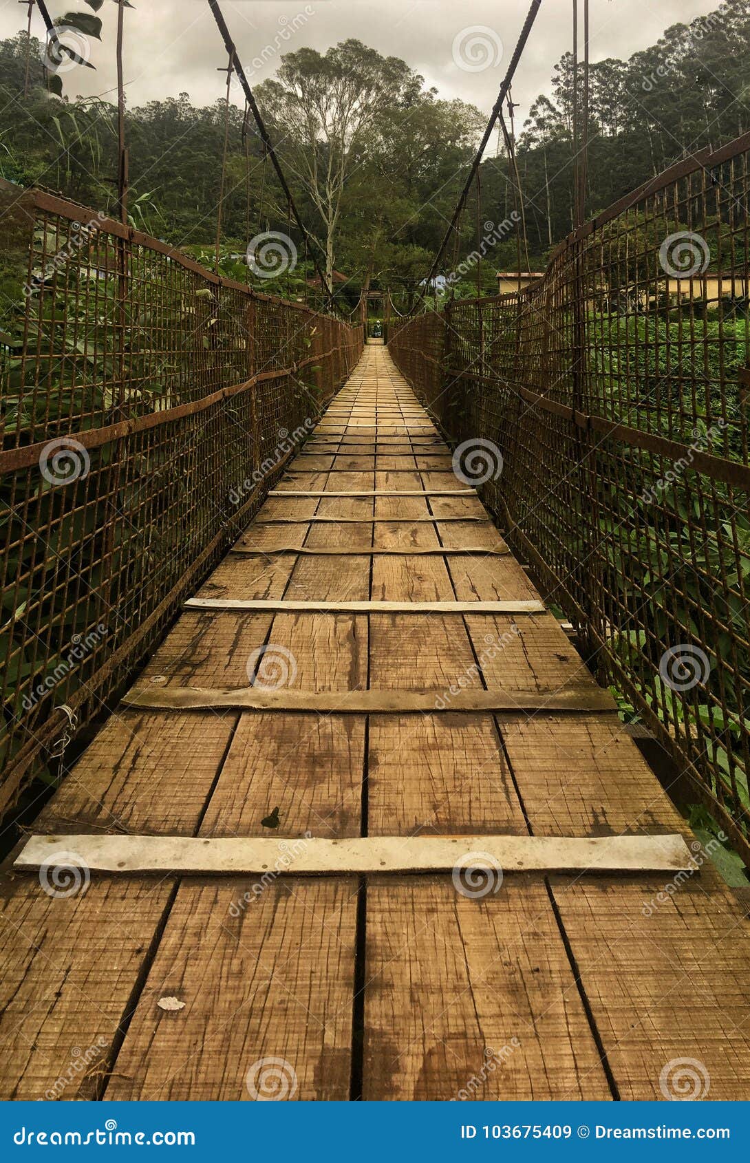 Munnar bridge stock image. Image of normal, symmetrical - 103675409