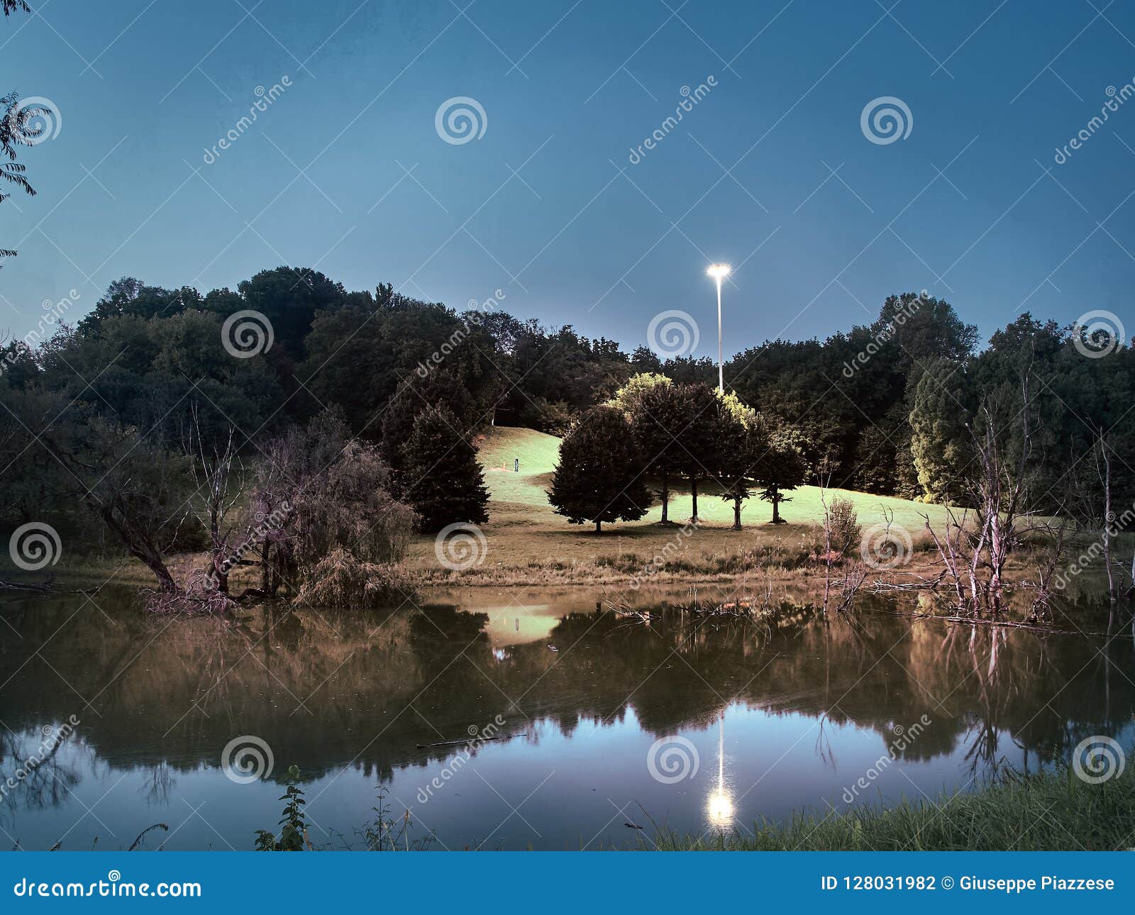 Shot of the Lambro Park in Milan in Autumn Stock Photo - Image of gold ...