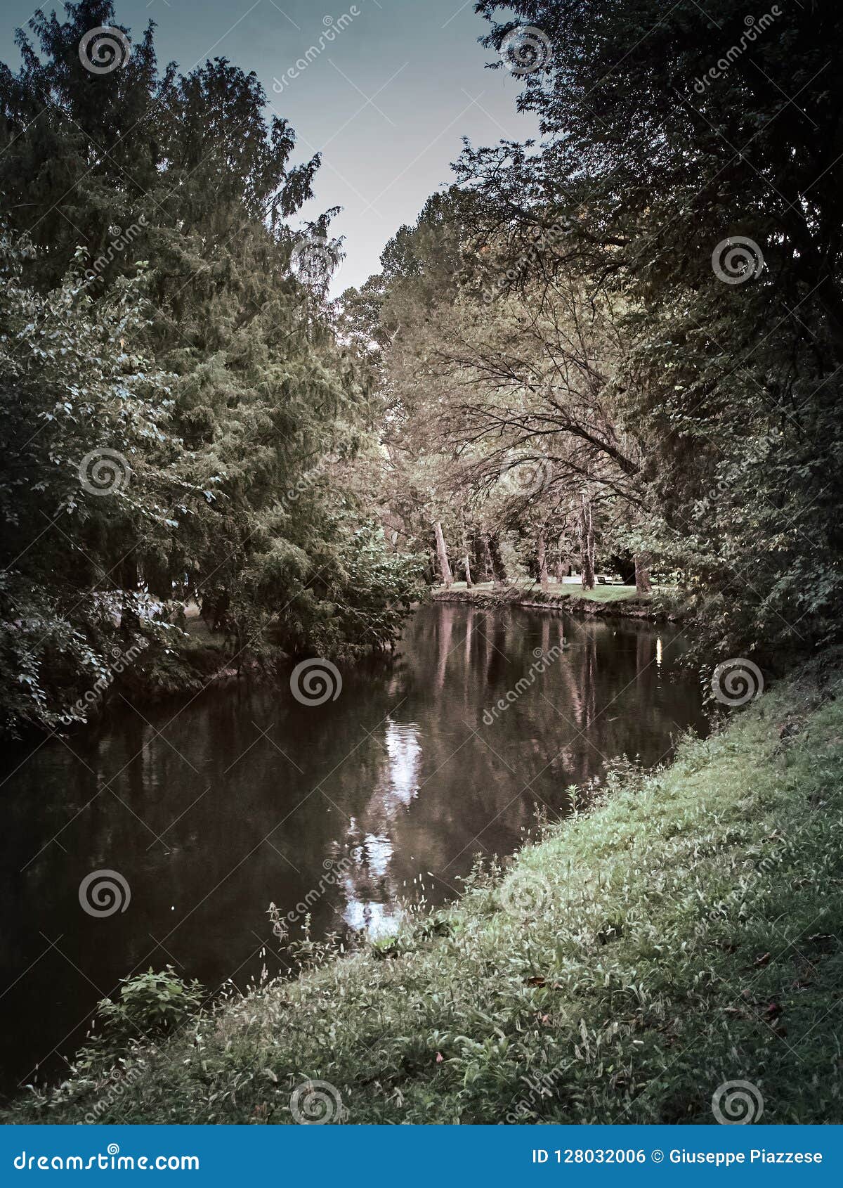 Shot of the Lambro Park in Milan in Autumn Stock Photo - Image of fall ...