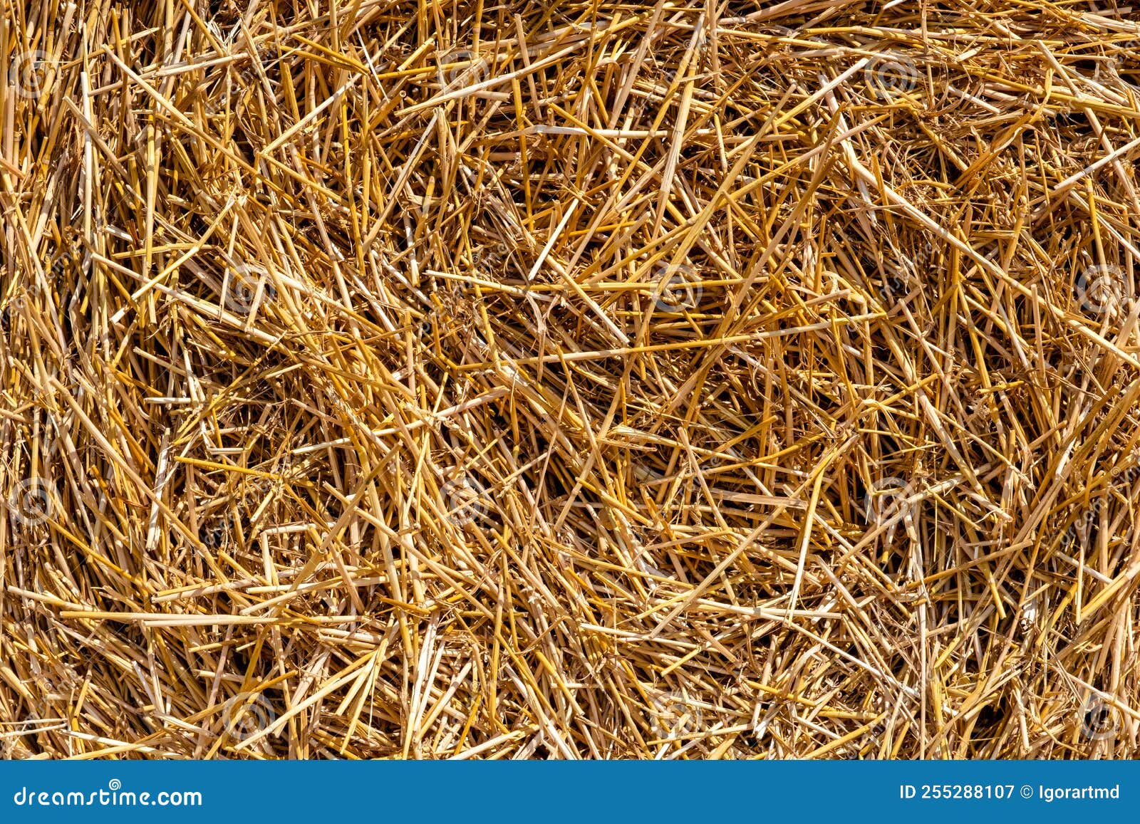 Shot of a Large Bail of Hay Stock Image - Image of corn, textured ...