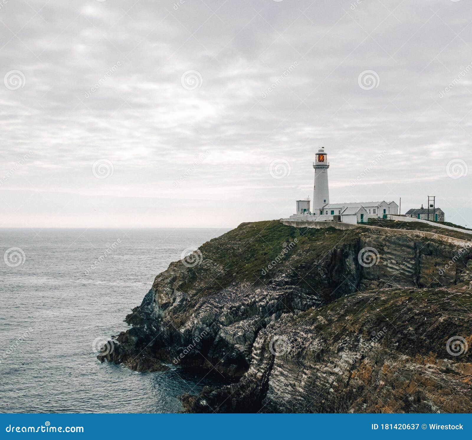 Shot of the Lighthouse on the Cliff in RSPB South Stack Cliff, Anglesey ...